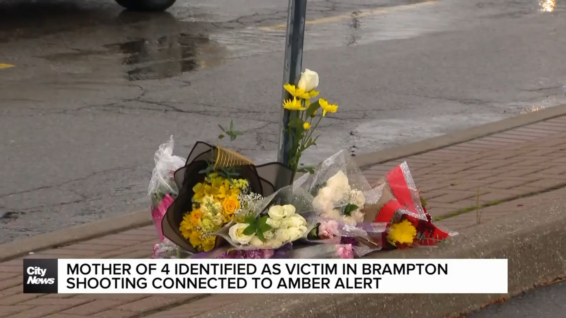 Mother of four identified as victim of fatal shooting that sparked ...