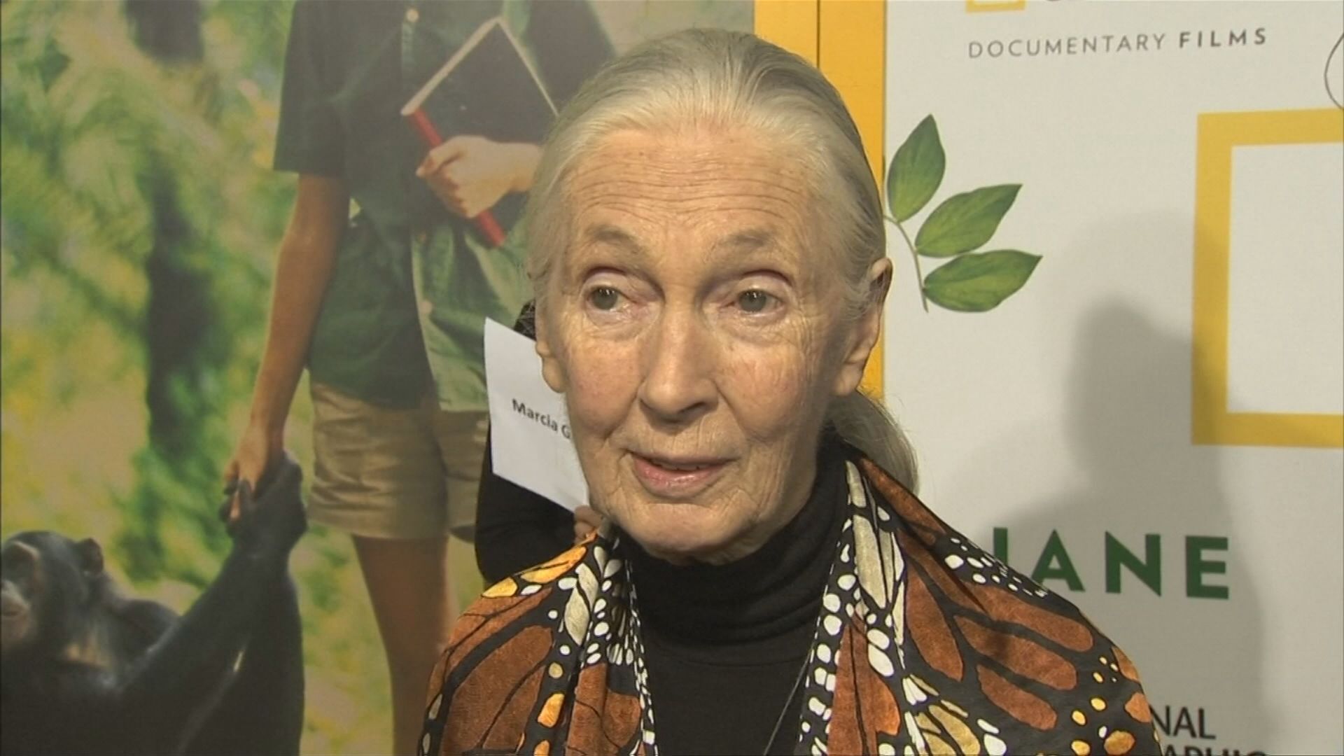 Jane Goodall, animal activist and famed primatologist, dies at 91