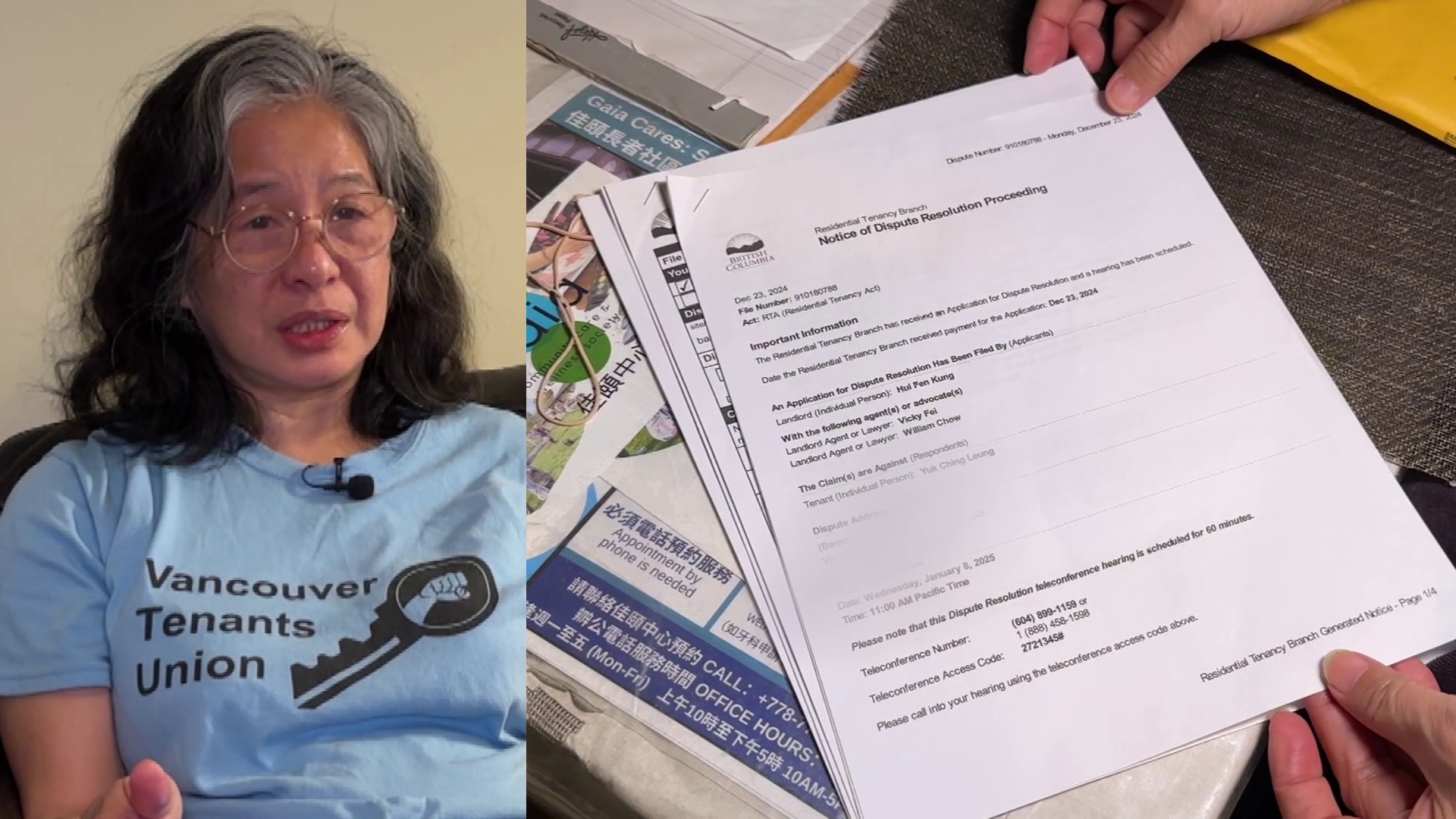 Wolf transfer from B.C. to Colorado complete, but state wildlife staff ...