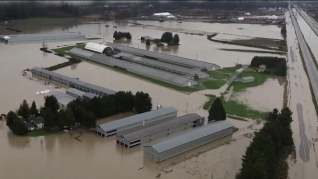 Parole revoked for Kerry Sim