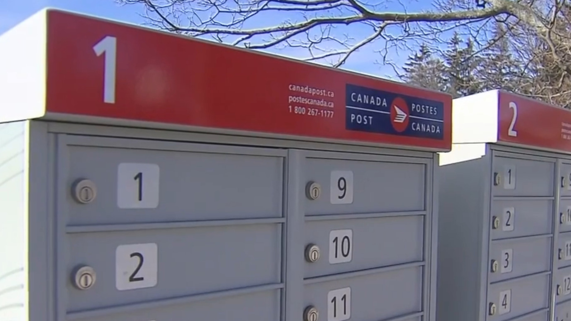 'What the heck': Police charge woman for driving with staircase on roof