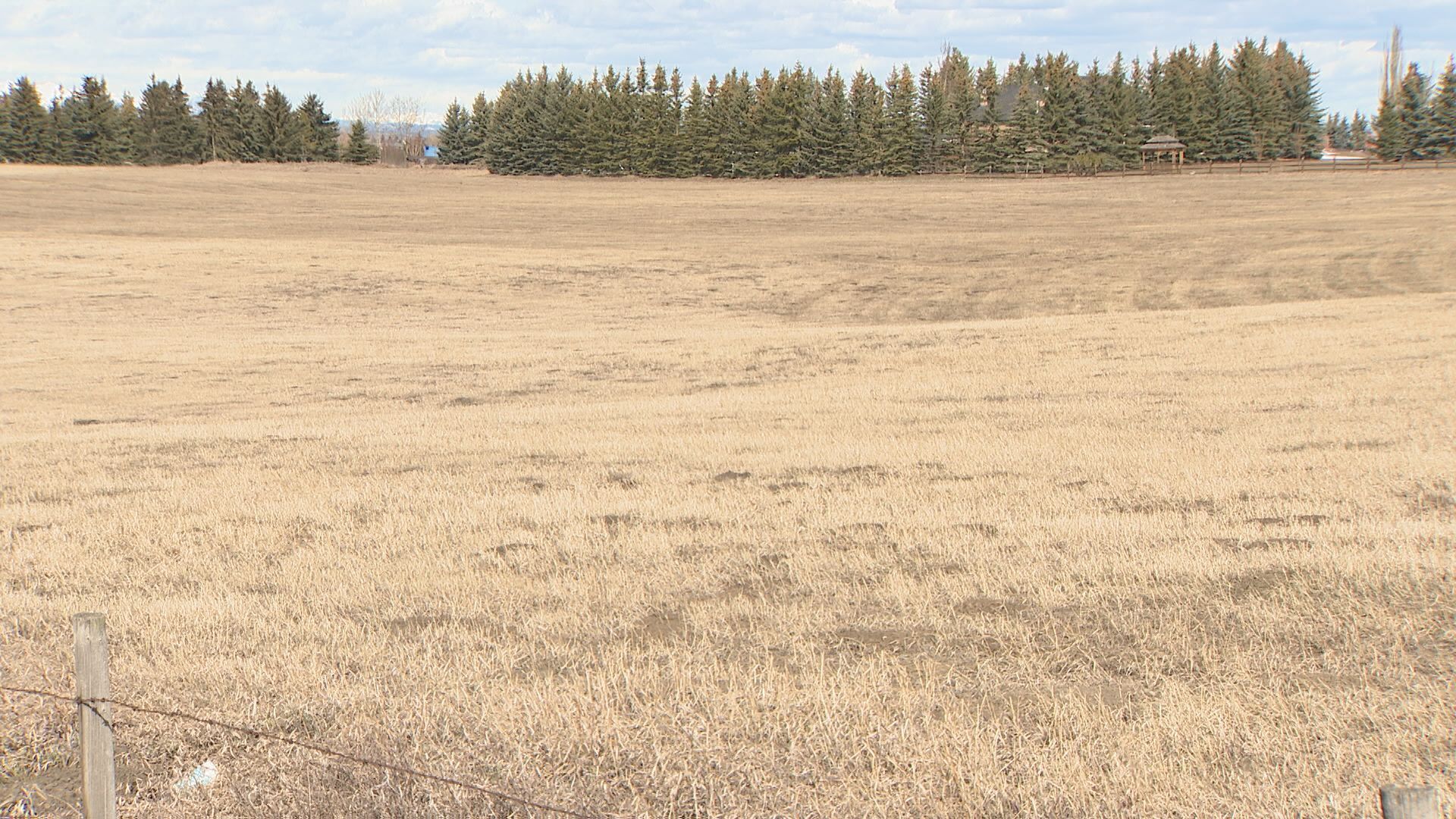 Calgary 911 operator busted for allegedly supplying information to ...