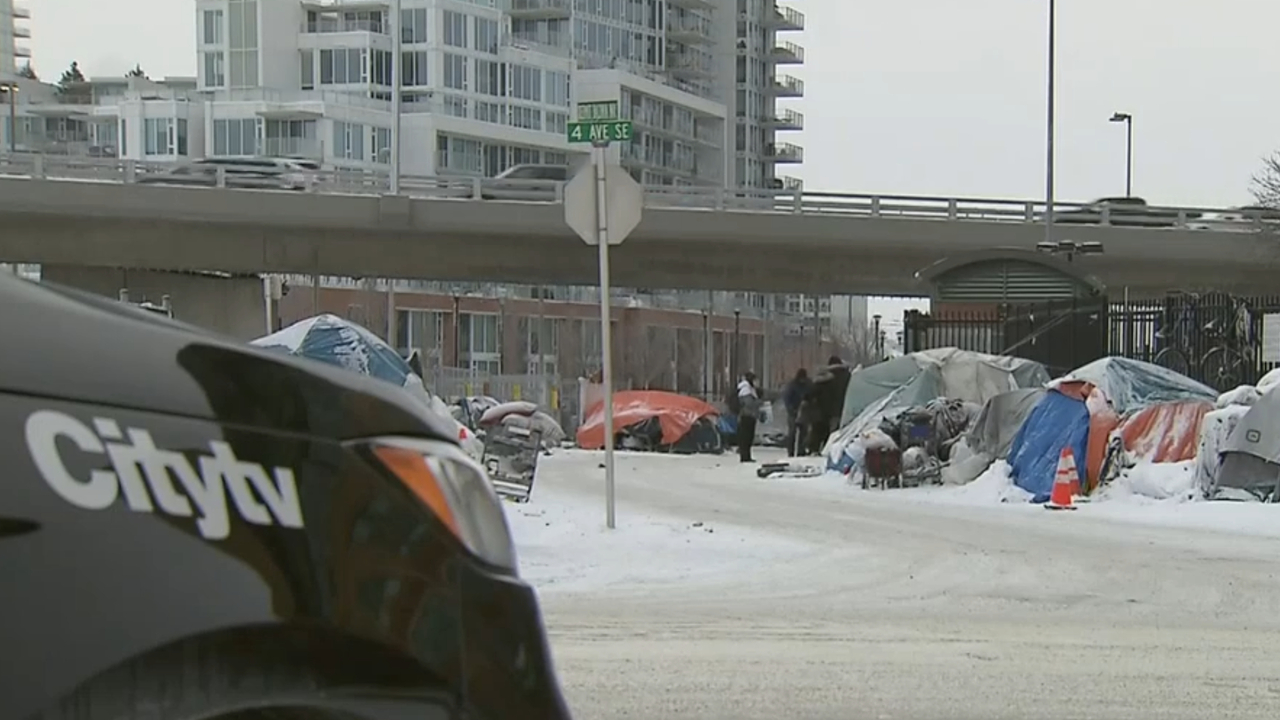 Calgary police see substantial use of new domestic violence law ...