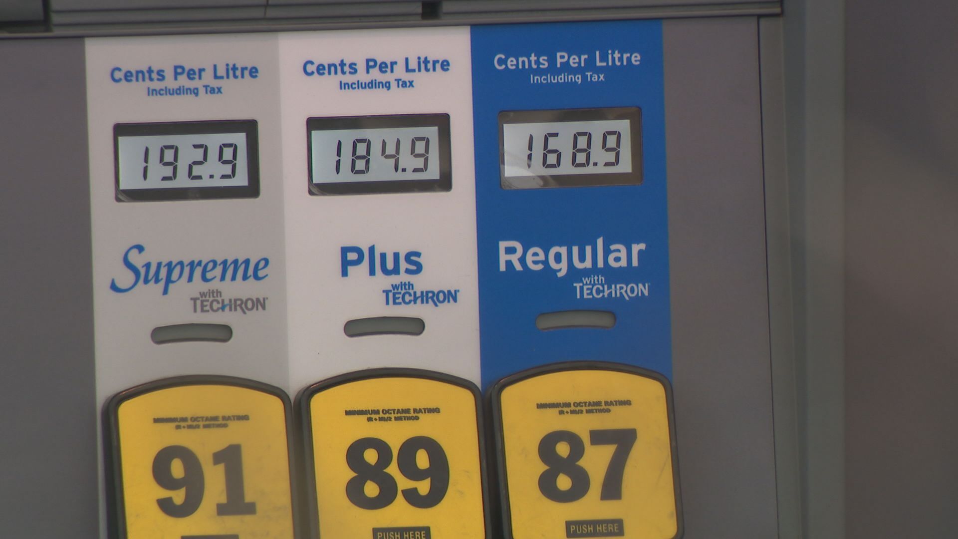 Climate change activist Greta Thunberg to visit Alberta | CityNews Calgary