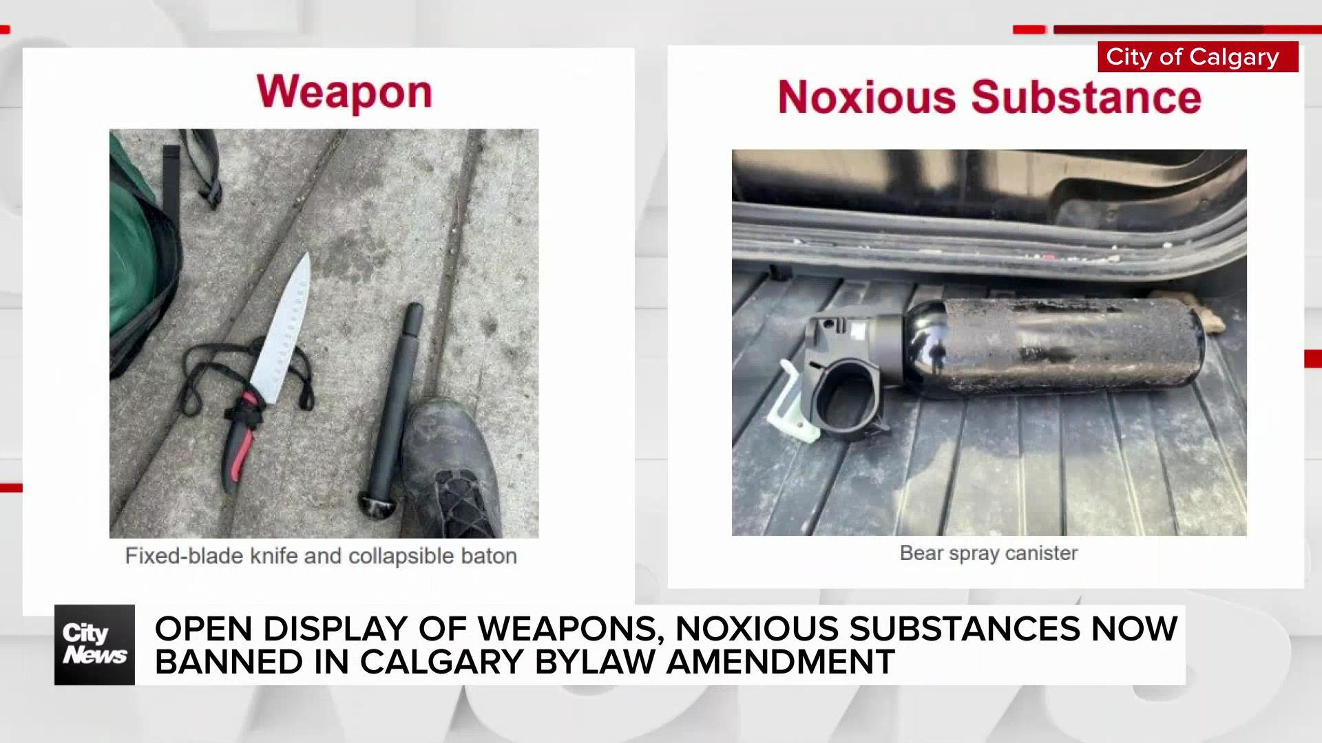 Open display of weapons, noxious substances now banned in Calgary bylaw ...