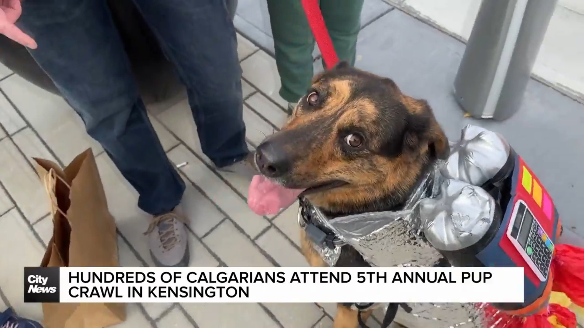 Calgary man arrested in cocaine bust at Coutts border crossing: CBSA