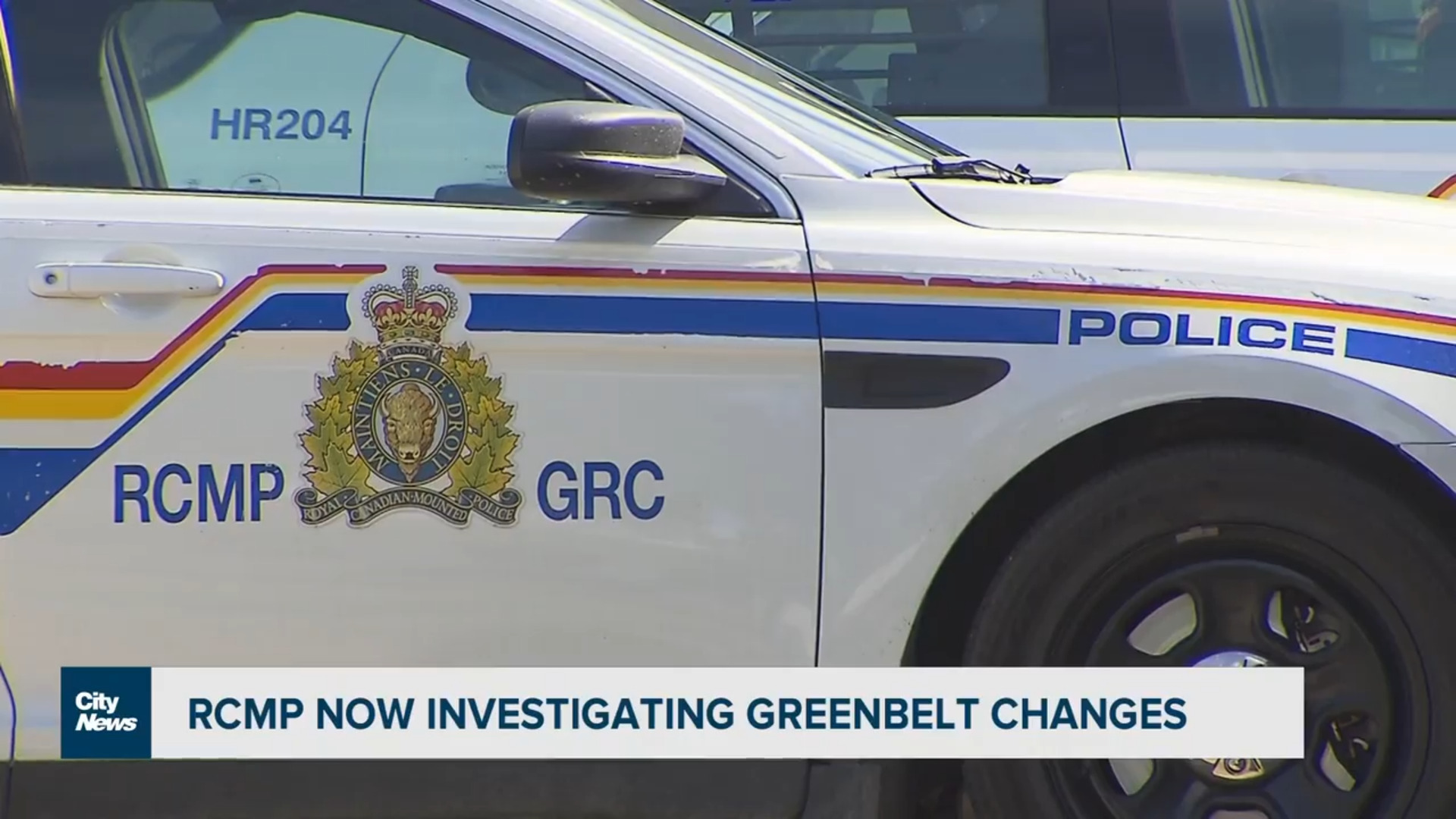 Holly Cole | CityNews Toronto