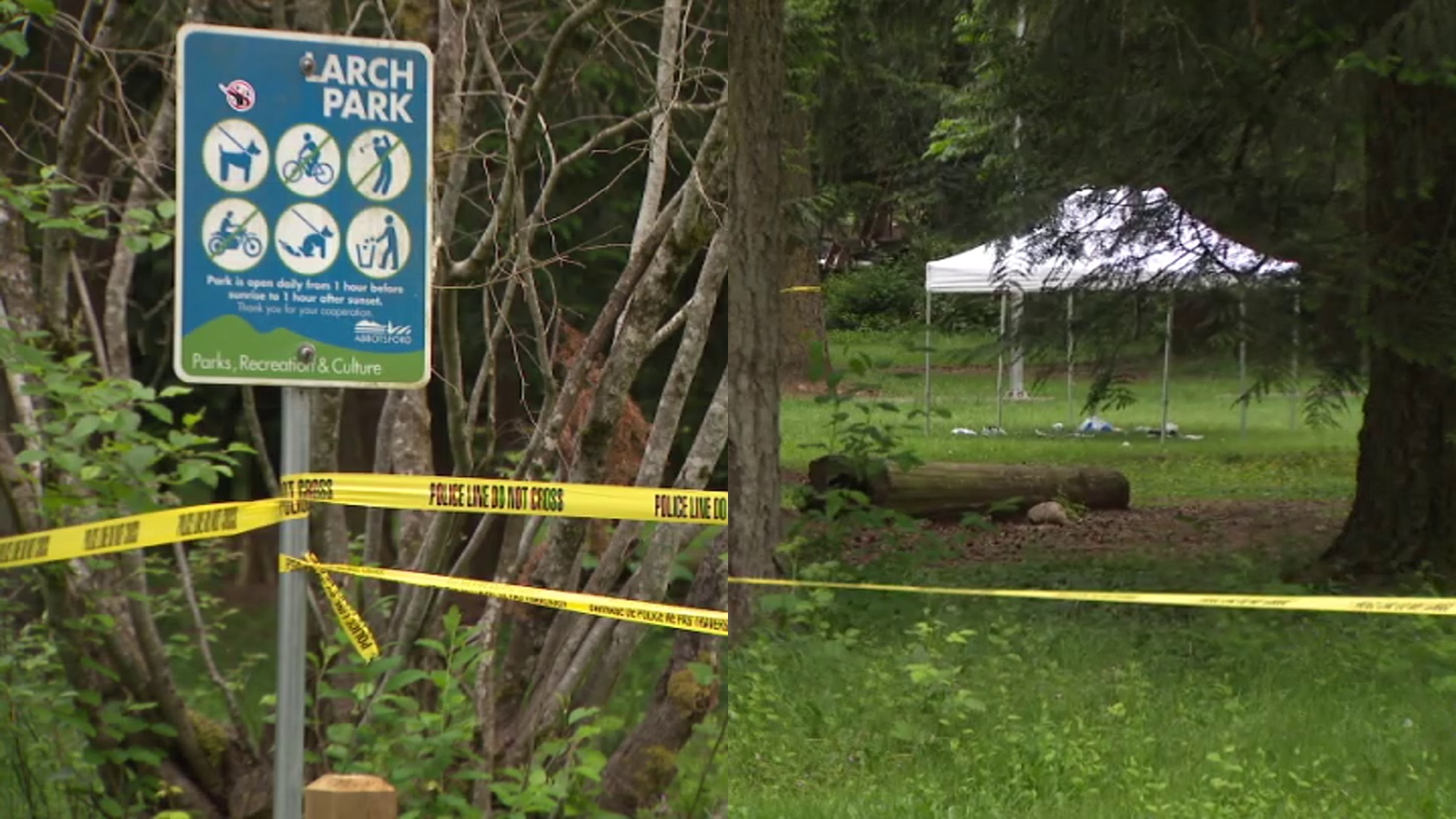 Andrew Scheer returns to lead Conservatives as interim leader