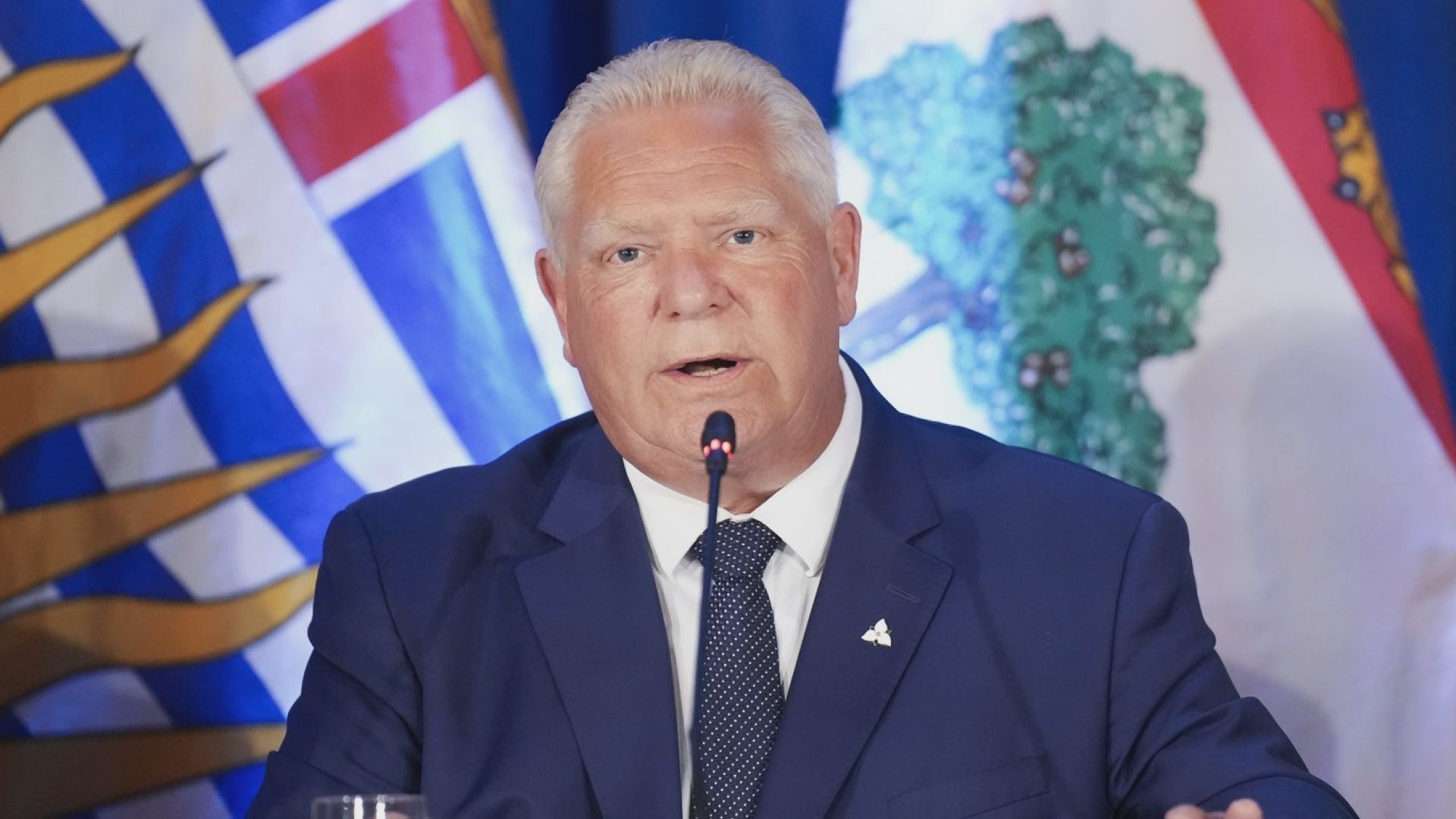 'Freedom convoy' leaders to be sentenced over mischief conviction