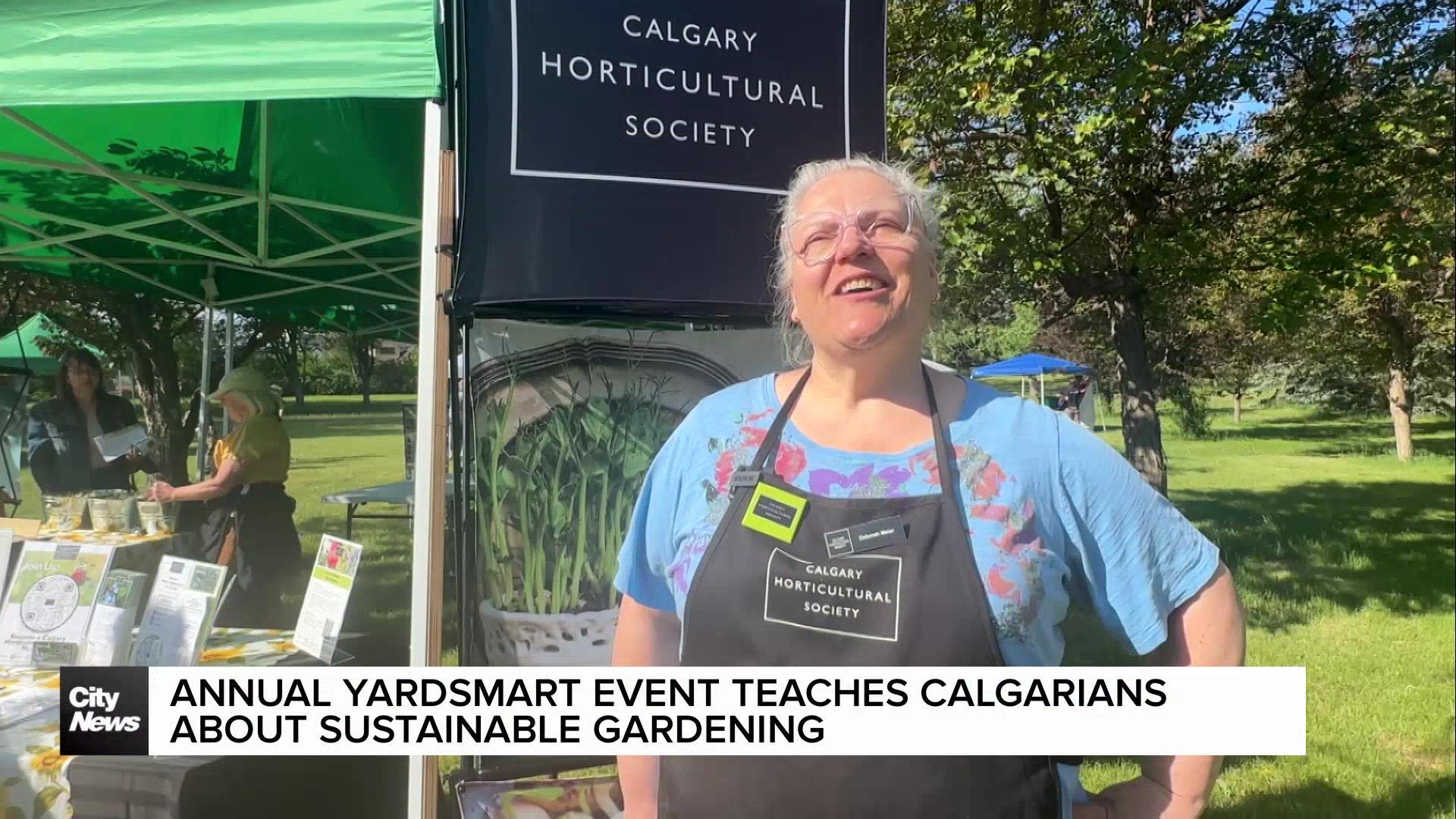 Breaking News | Top Local Stories | CityNews Calgary