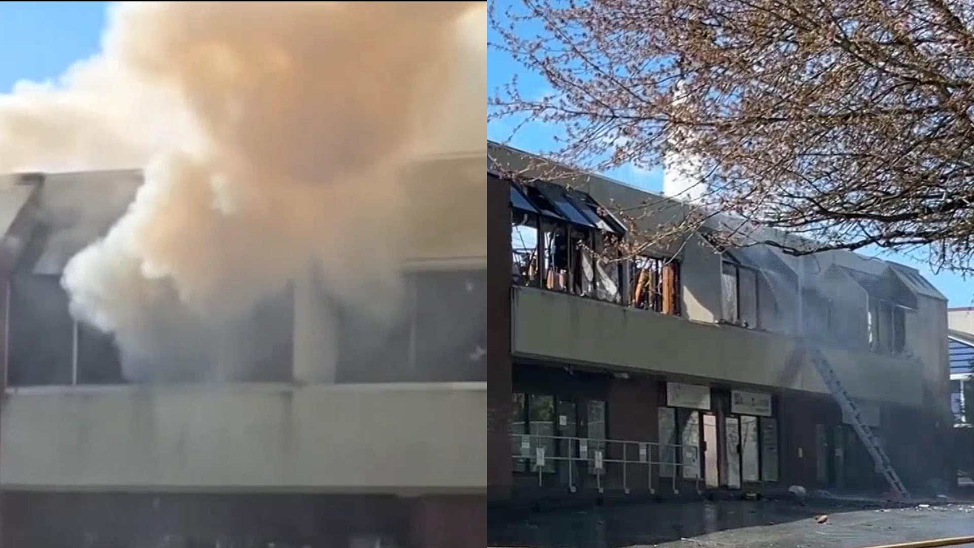 Closing Riverview: The decision to shut down the psychiatric hospital ...