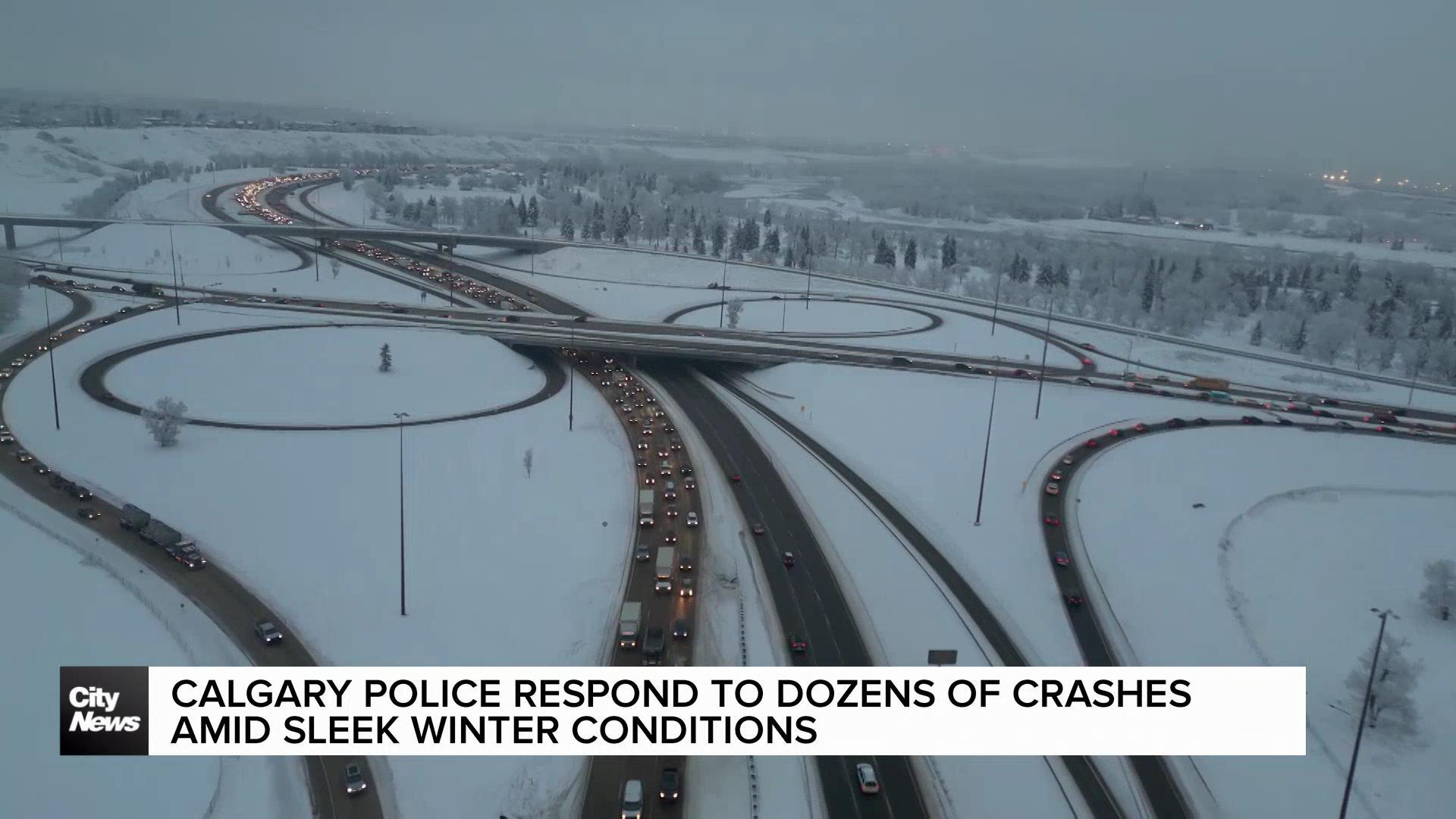 Calgary Transit NE Blue Line stations closed until Sunday