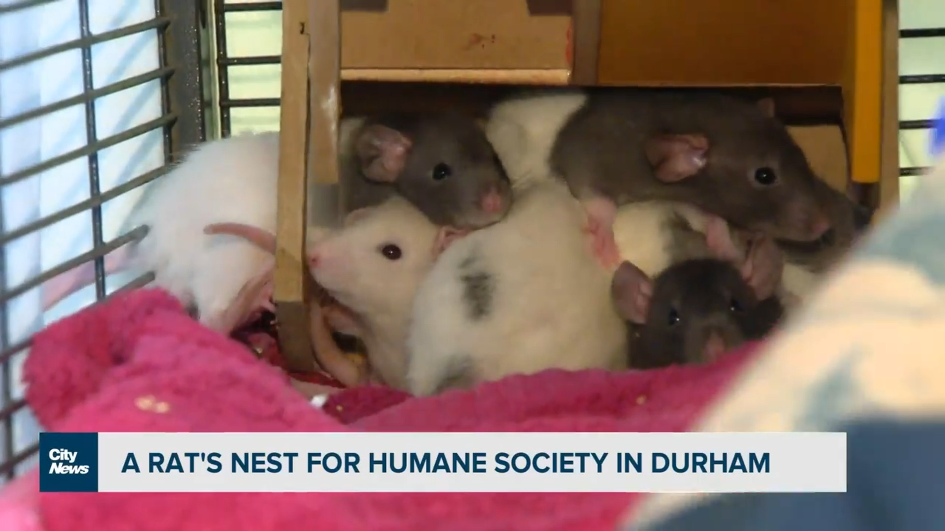 Students describe confusion, terror during California school shooting ...