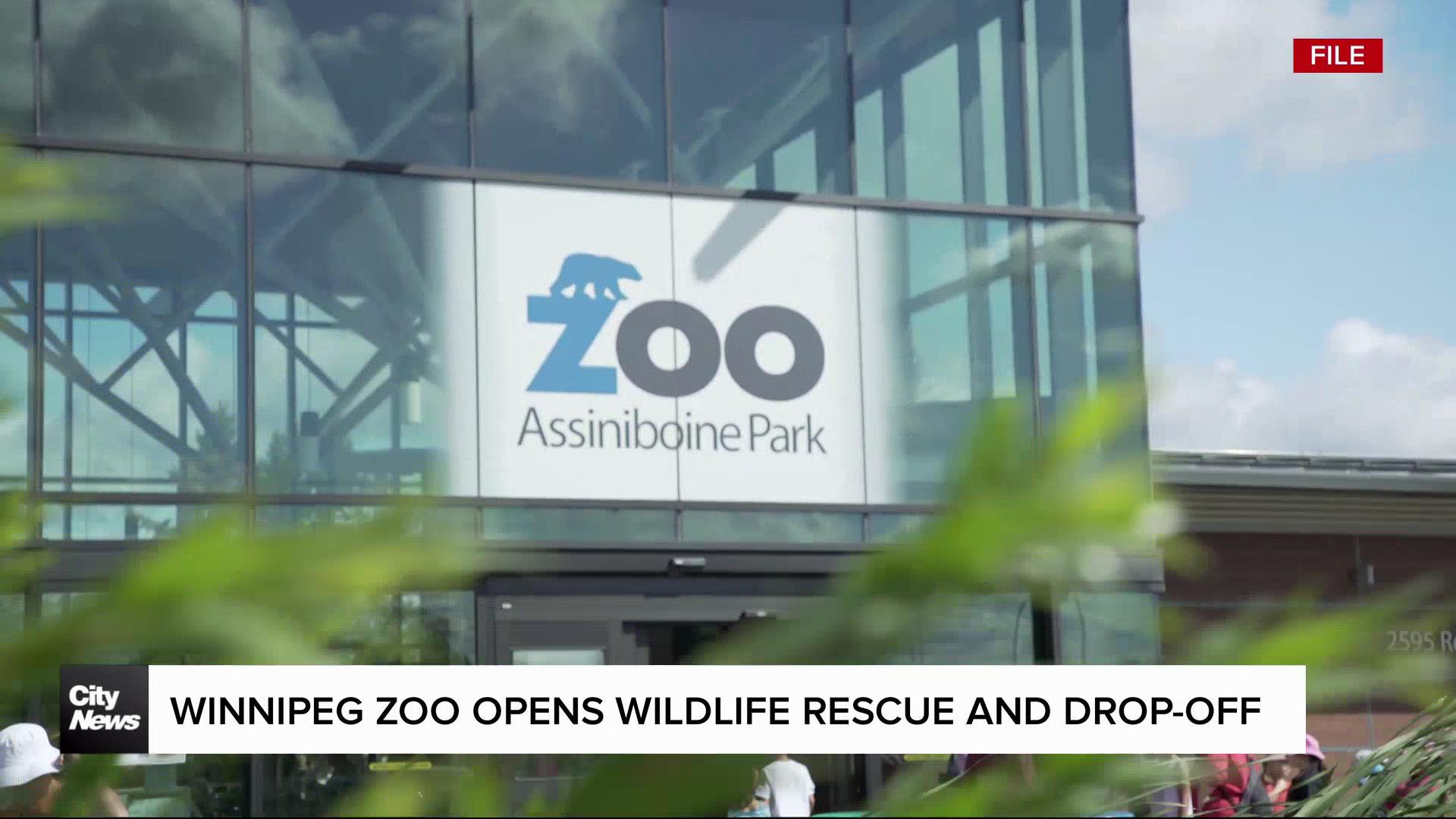 Assiniboine Park Zoo opens new centre for injured animals