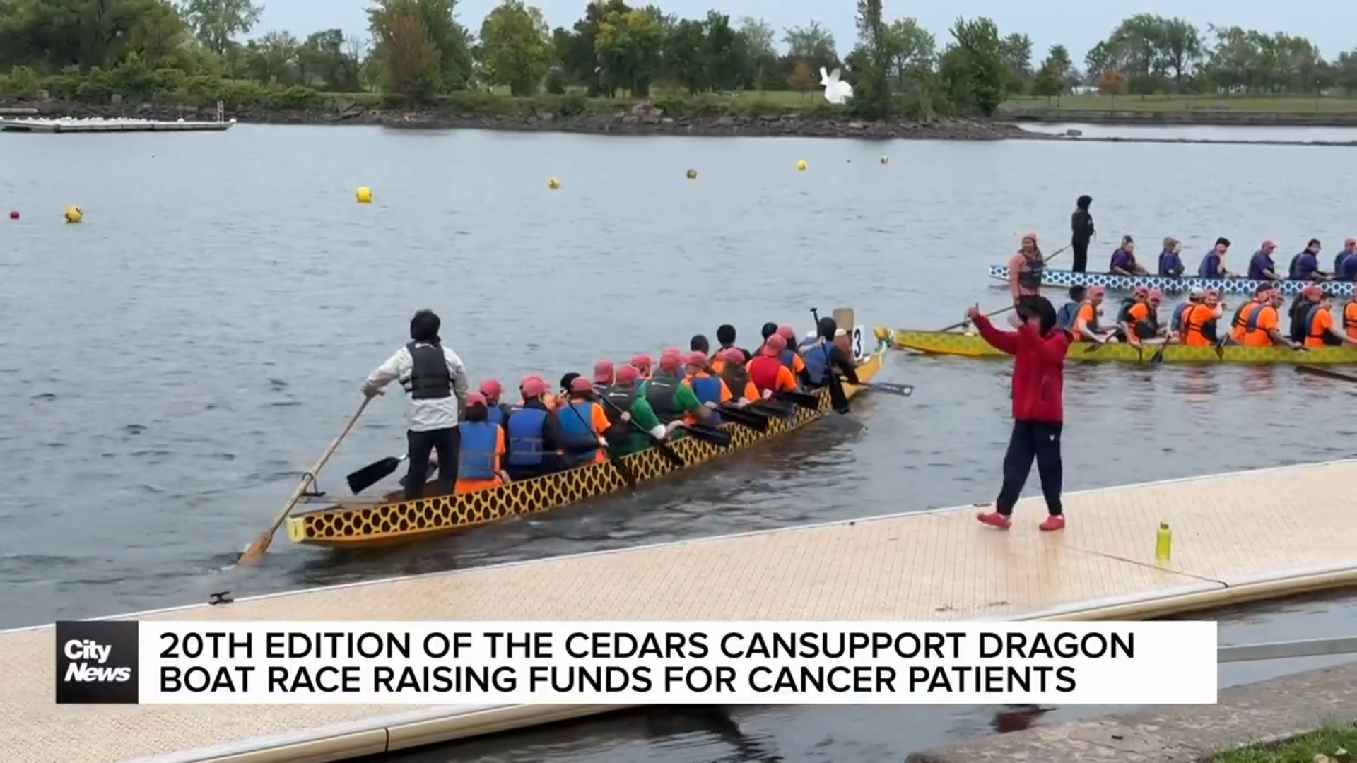 Air Canada strike fallout: 2 class-action lawsuits proposed in Montreal