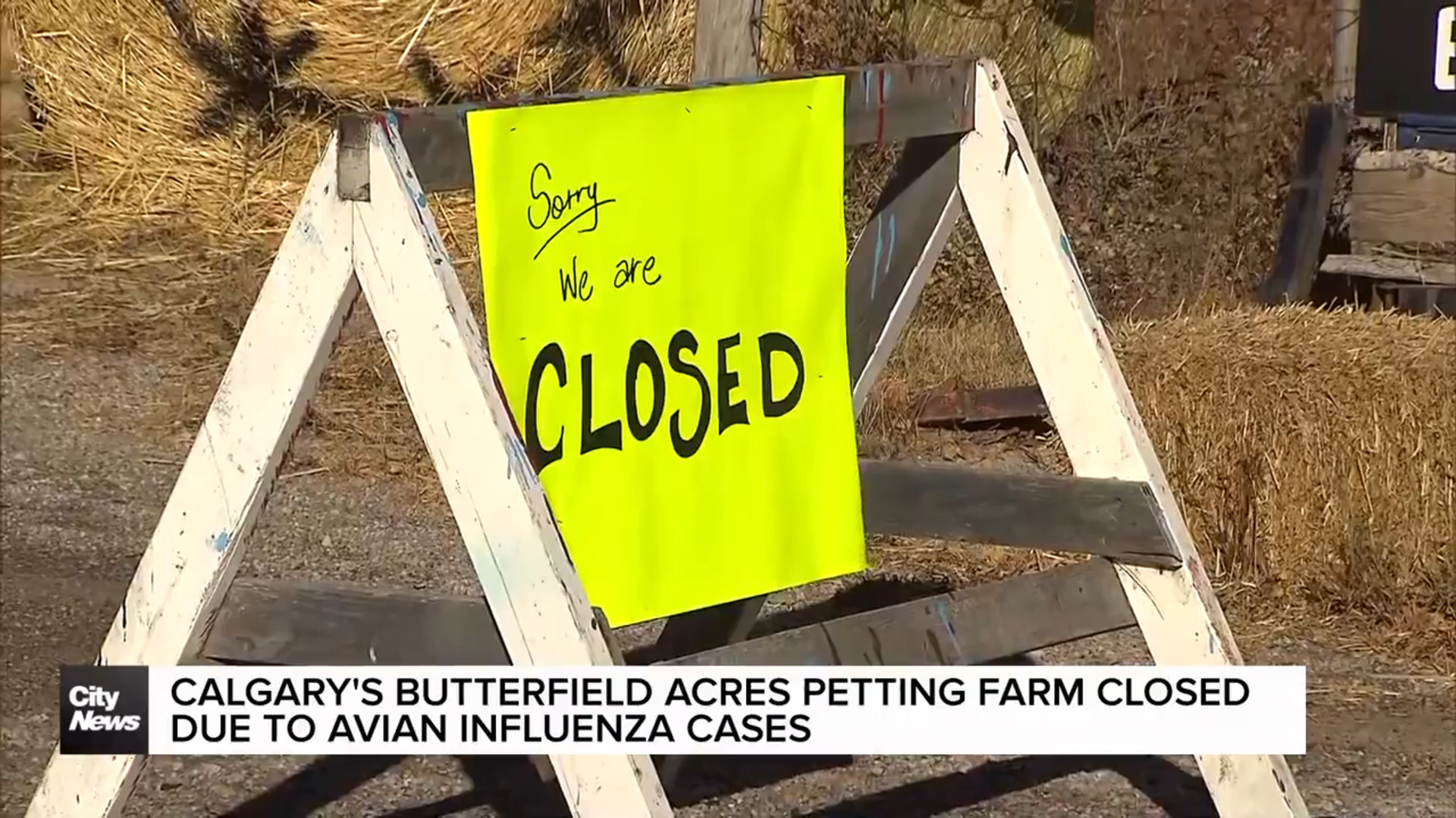 Smith Alberta Next panel to close out cross-province tour in Calgary