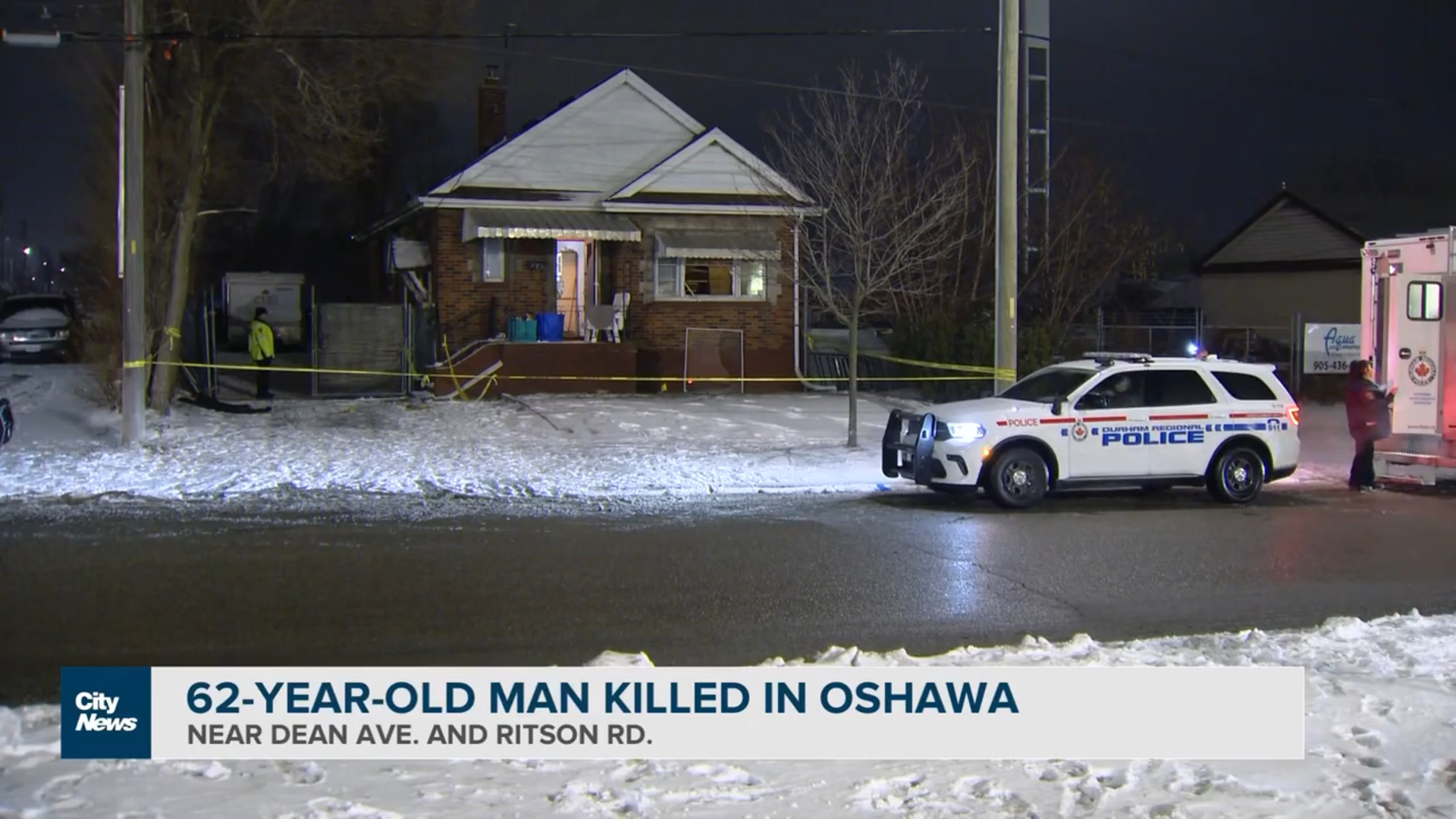 What you need to know about Halloween beetles - Video - CityNews Toronto