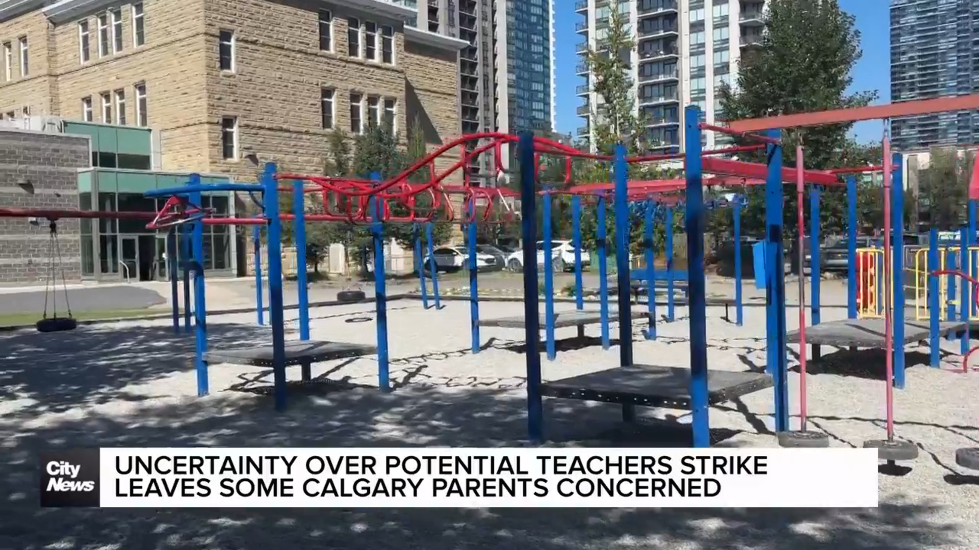 Calgary Humane Society to host free spay and neuter clinic