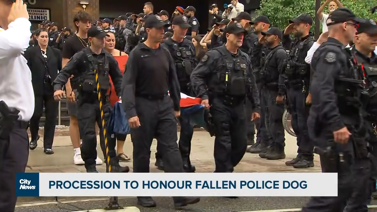 Procession honours Bingo the fallen police dog