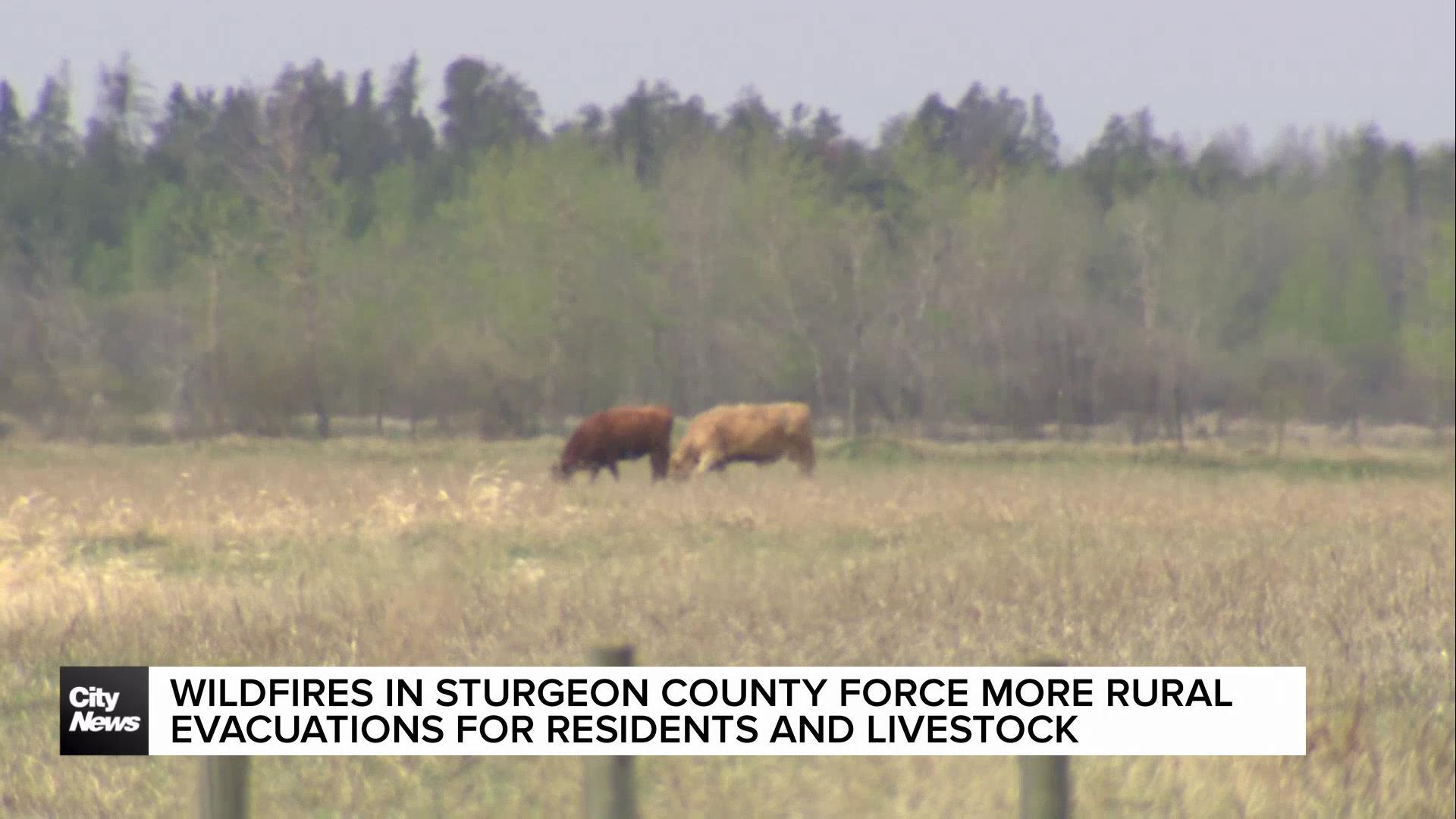 AUPE to hold strike vote after talks with Alberta government break down