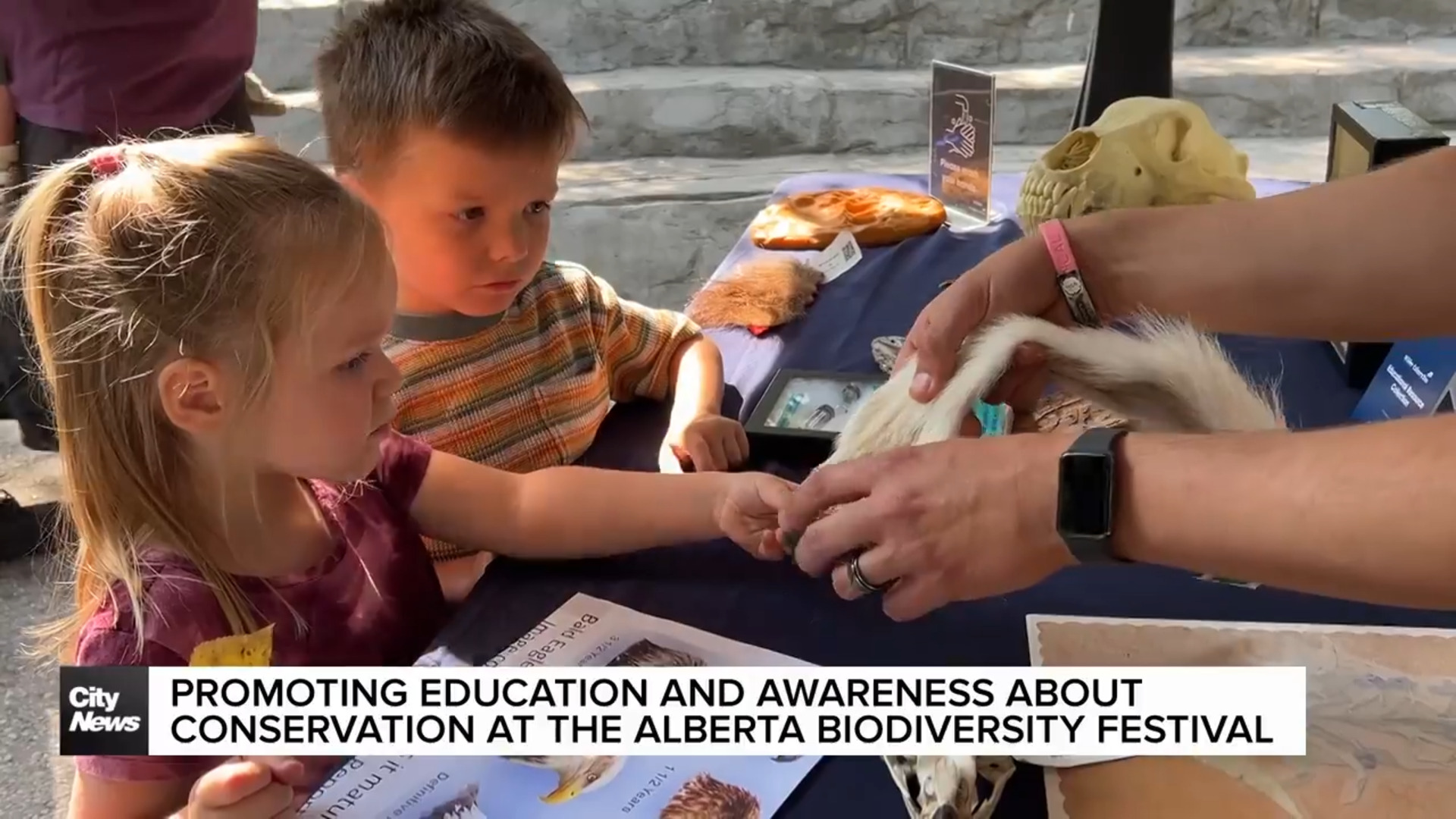 Alberta gun owners await expansion of gun buyback program