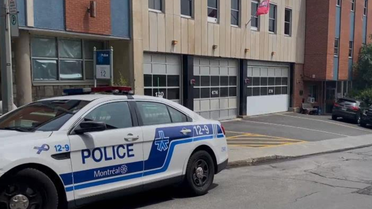 Calls for change on Montreal's police's street checks policy