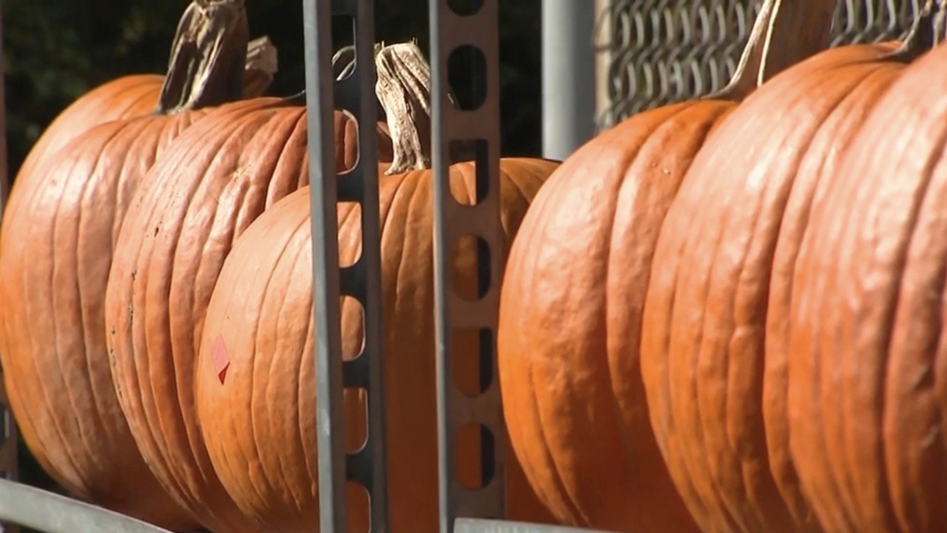 ICBC text scam circulating