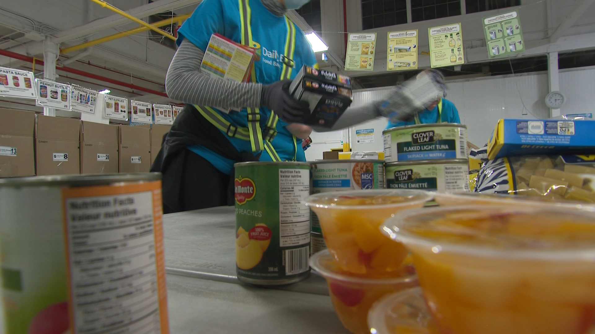 Video: PETA releases new footage of Bowmanville zoo owner discussing ...