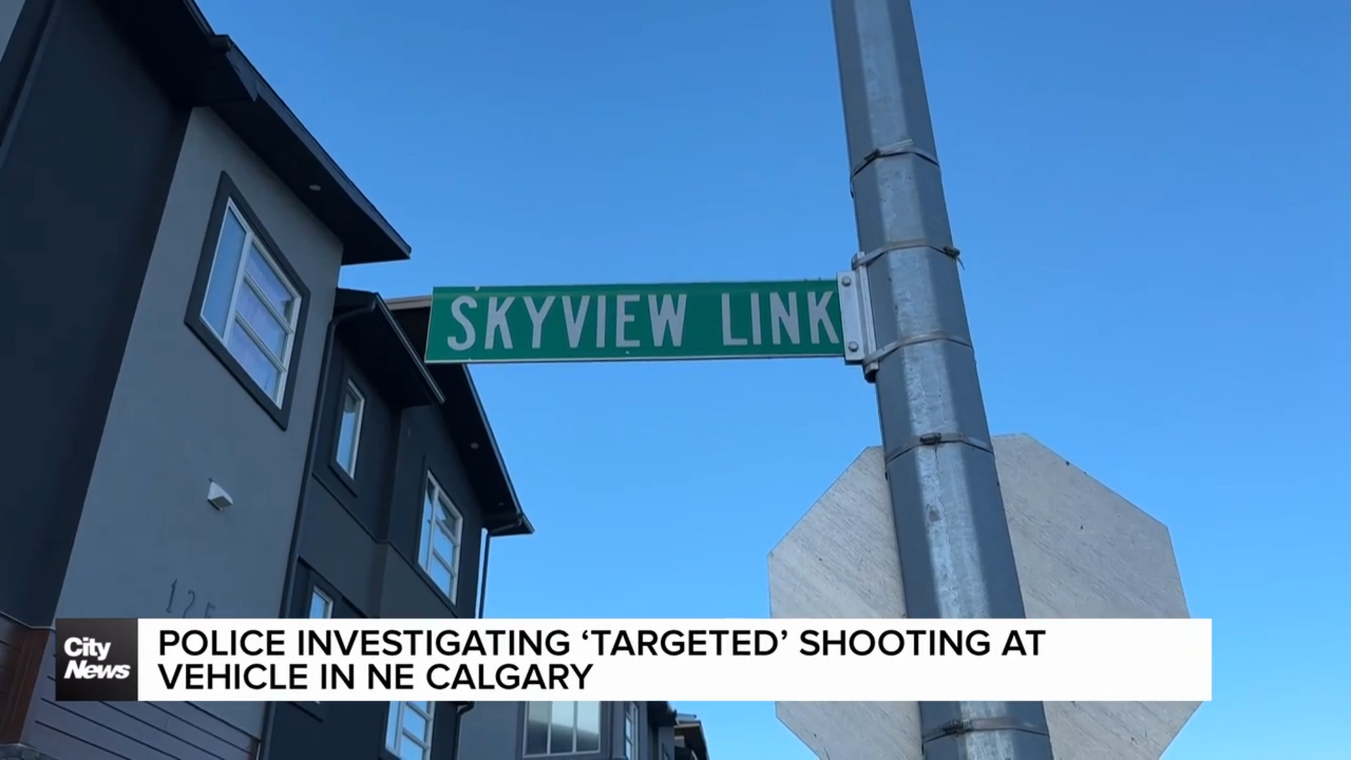 Police investigate ‘targeted’ shooting at vehicle in NE Calgary
