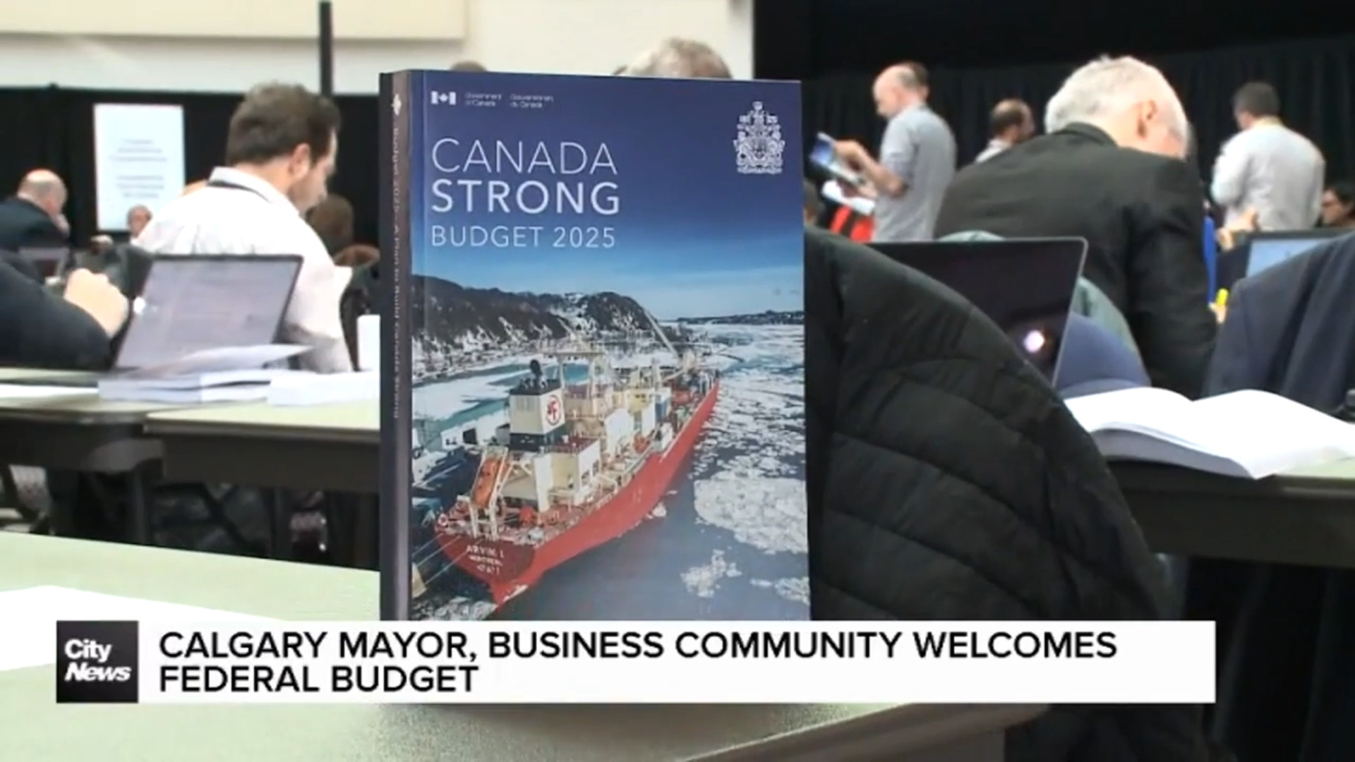 MRU expert sounds alarm on invasive ladybug population in Calgary