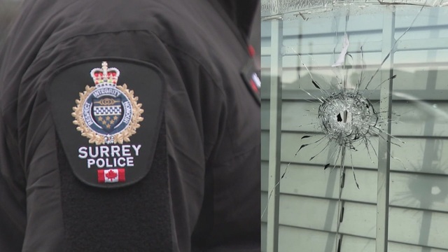 City of Surrey to put up $250,000 reward fund to combat ongoing ...