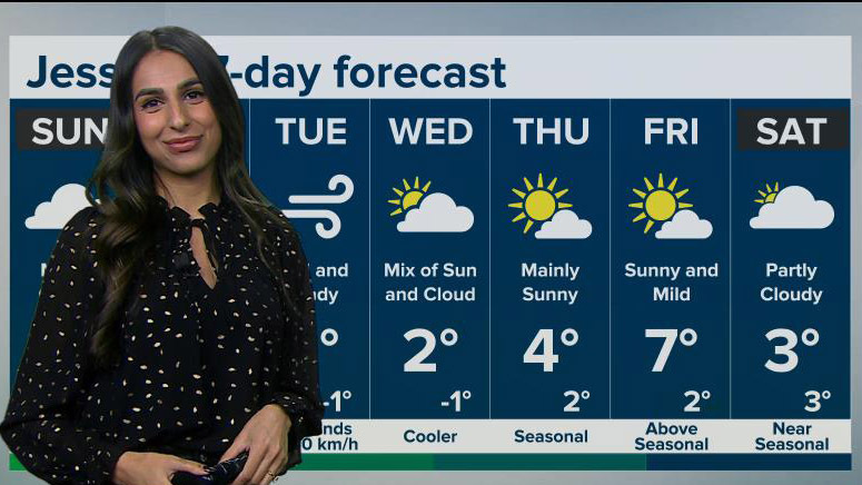 Watch CityNews Toronto - Video - CityNews Toronto