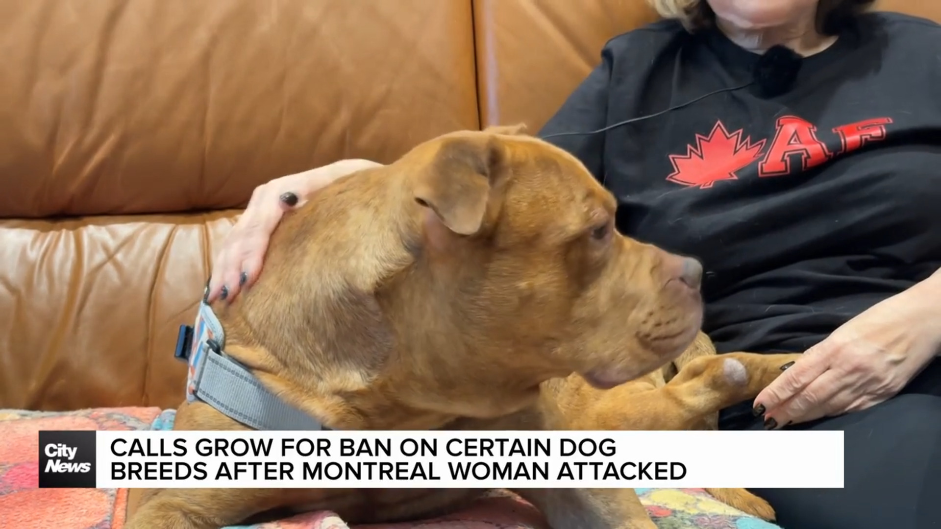 Quebec adopts Bill 68 to reduce doctors' paperwork