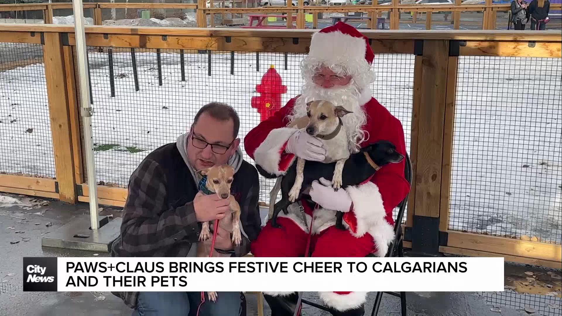 Calgary's Owen Hart foundation giving back to families, veterans for ...