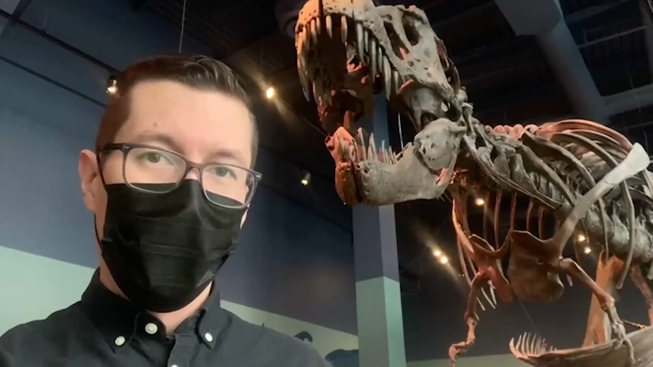 TWIS: The dinosaur with the battle axe tail | CityNews Vancouver