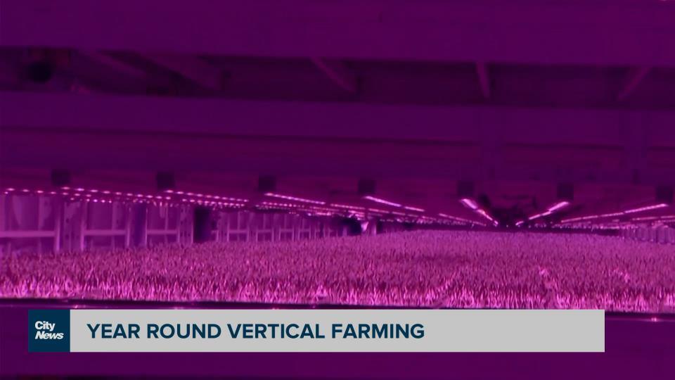 Year-round vertical farming