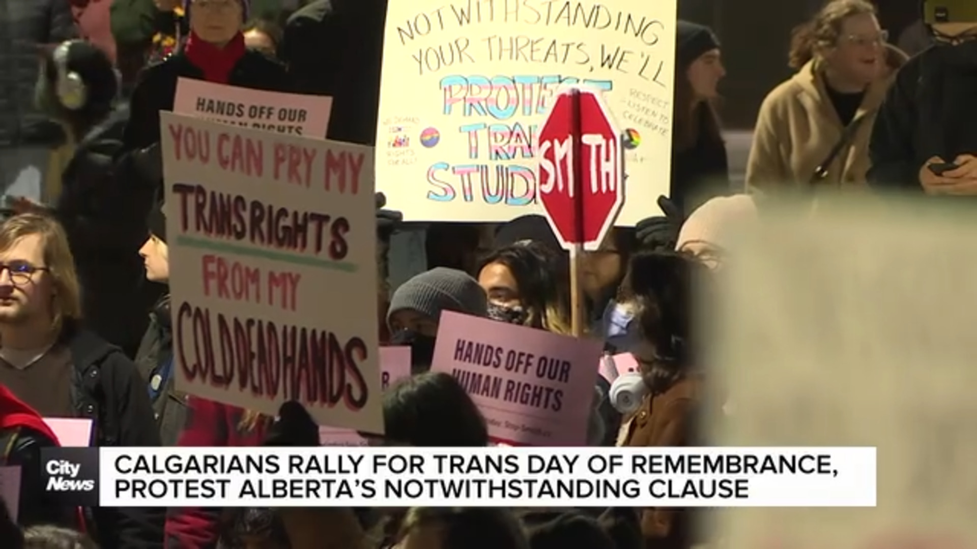 ‘As long as it’s clean’: Calgary Transit asking you to choose between ...