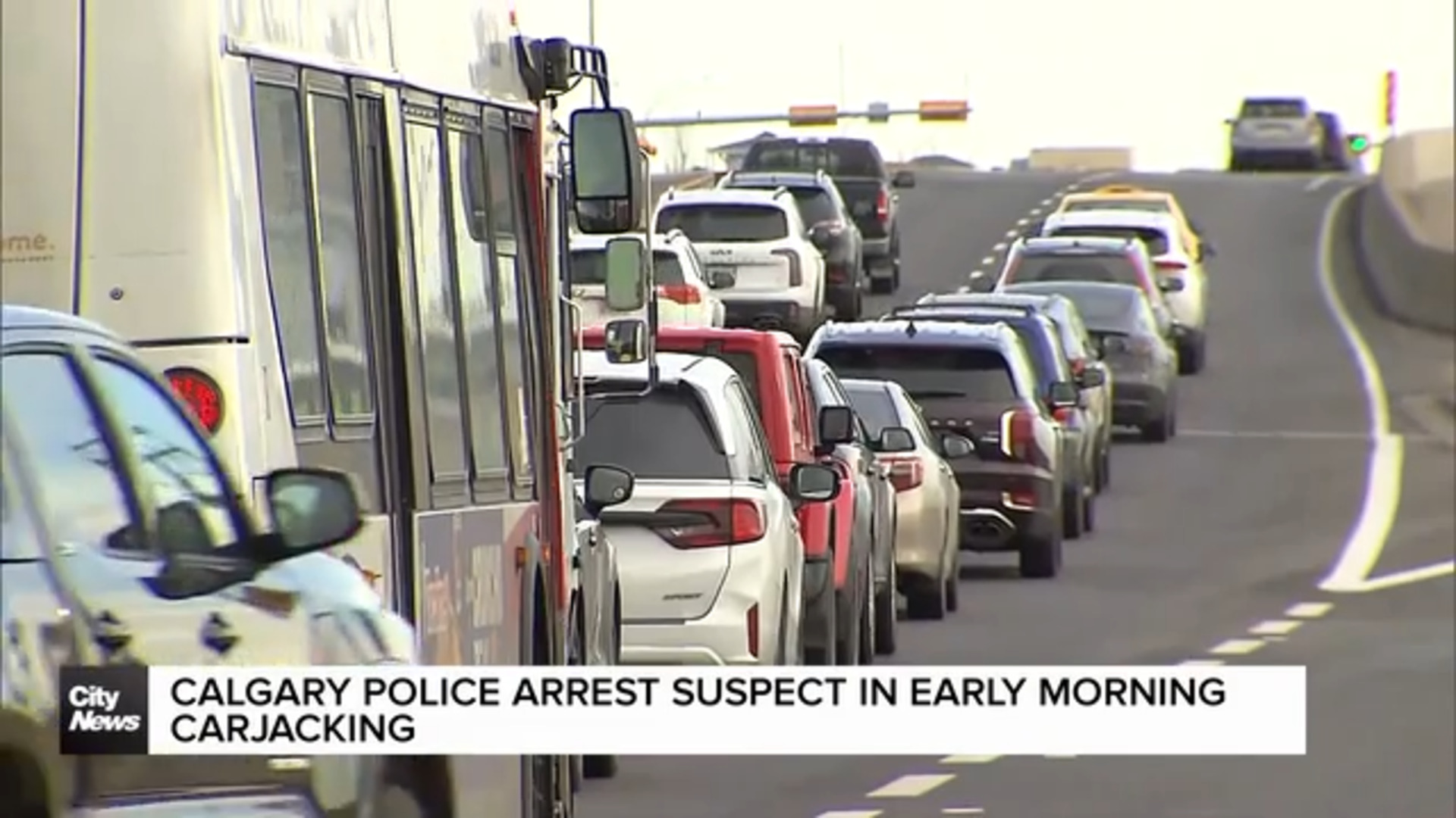 'No kids go hungry': Calgary business giving free lunches to students