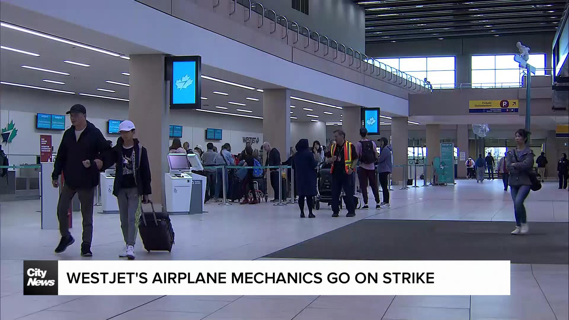 Calgary’s Shouldice shut down, leaves sports teams scrambling for field ...