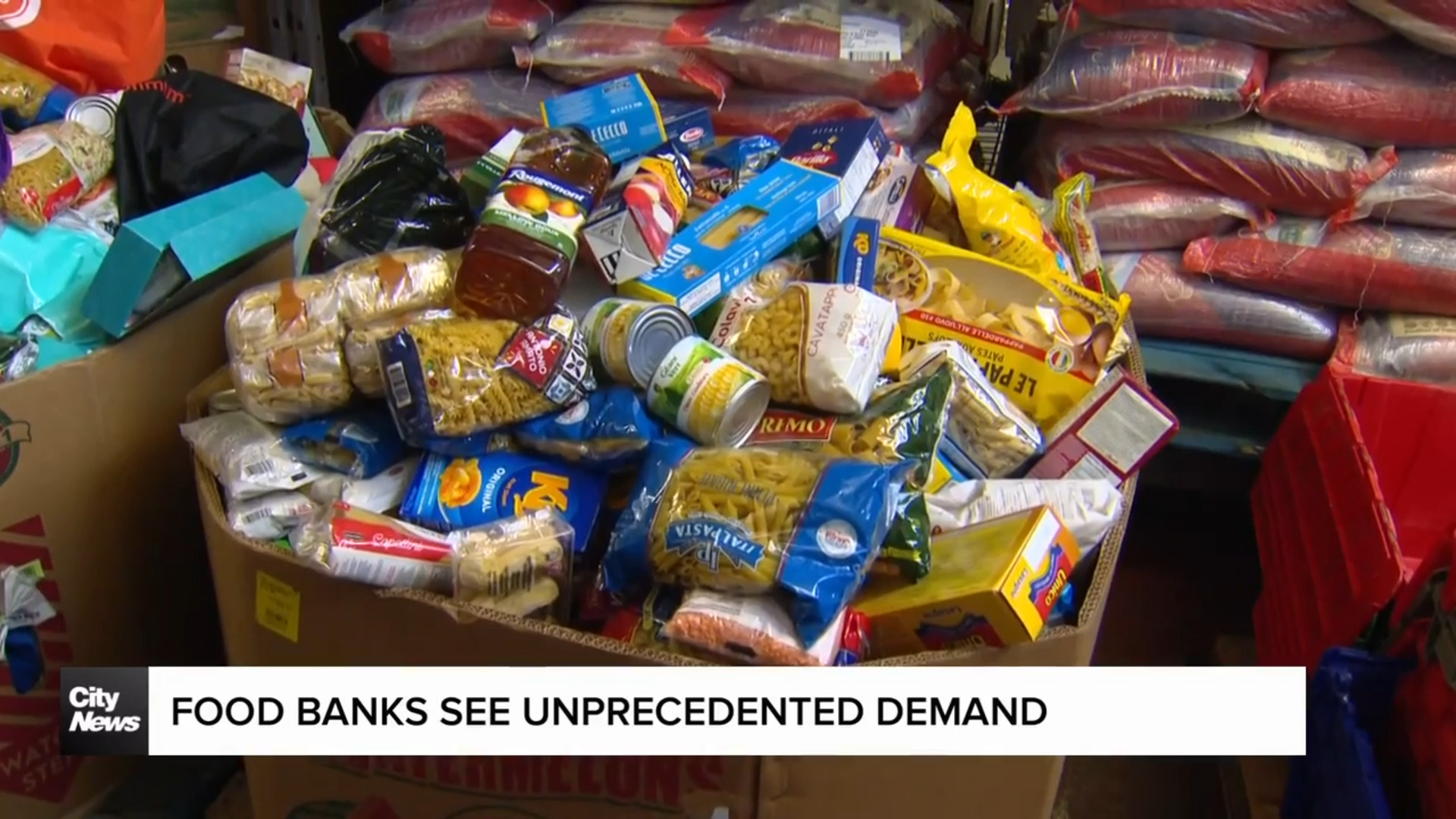 Food bank use at record high this Thanksgiving season