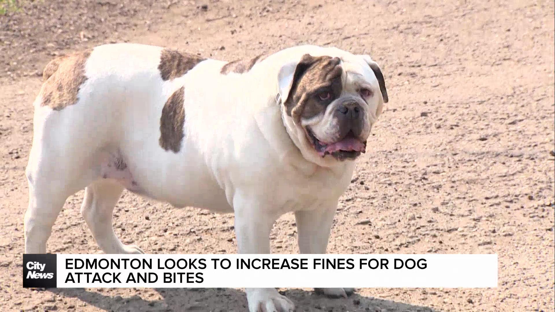 Alberta wildfire: residents of Boyle allowed to return home