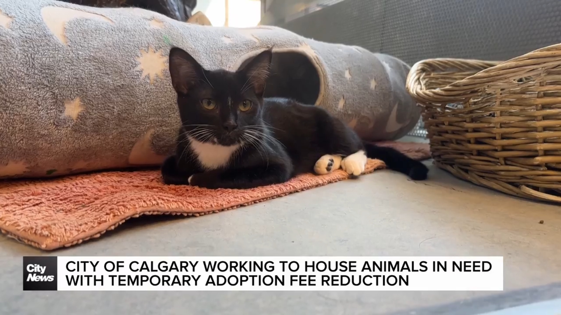 Third Fair Entry service location opens in Calgary south