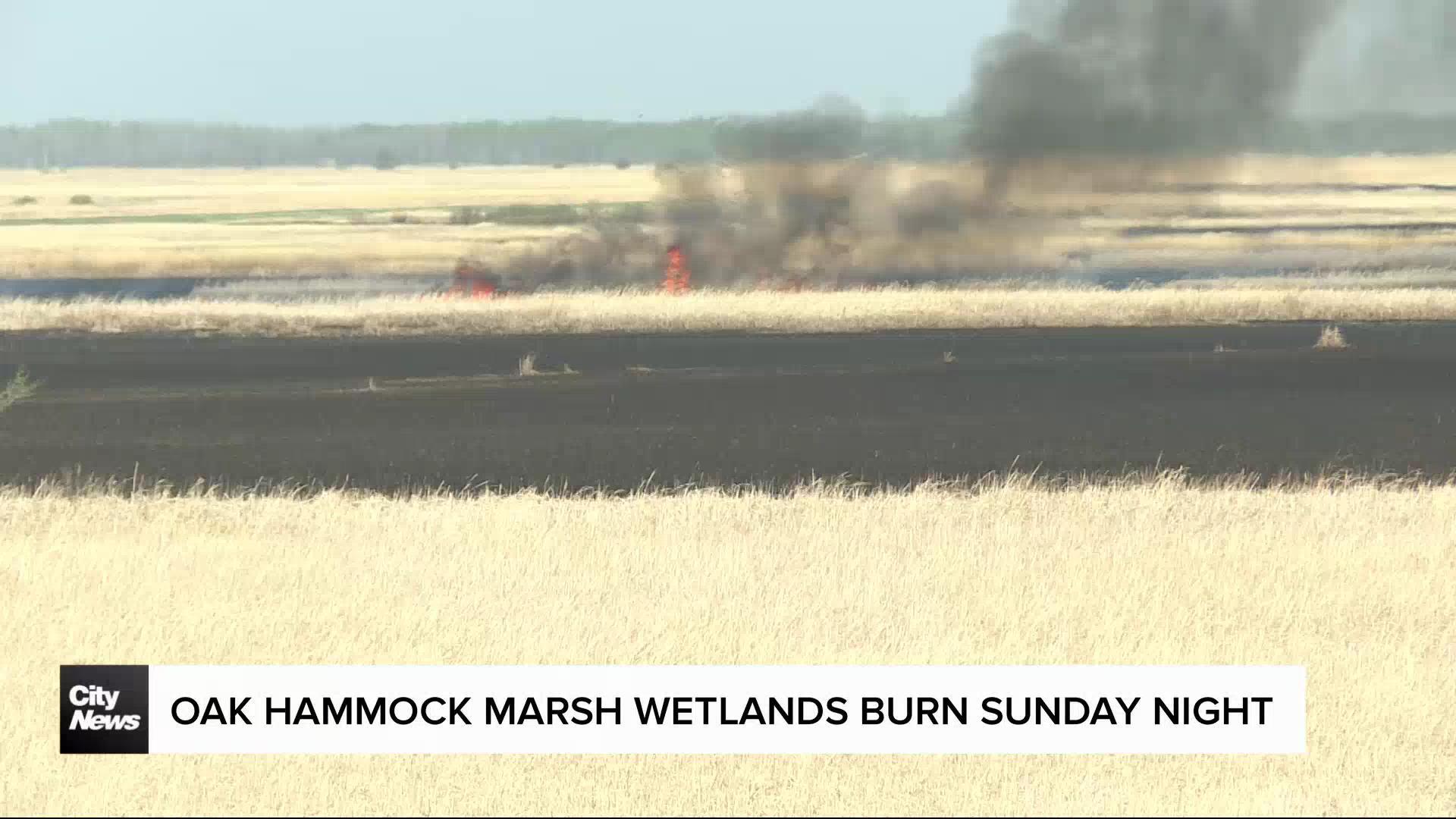 Lightning-caused fire nearly burns Oak Hammock Marsh building