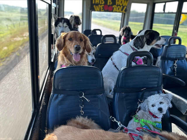 Boogity, Boogity, Boogity: Rocky Mountain Nationals speeds into ...