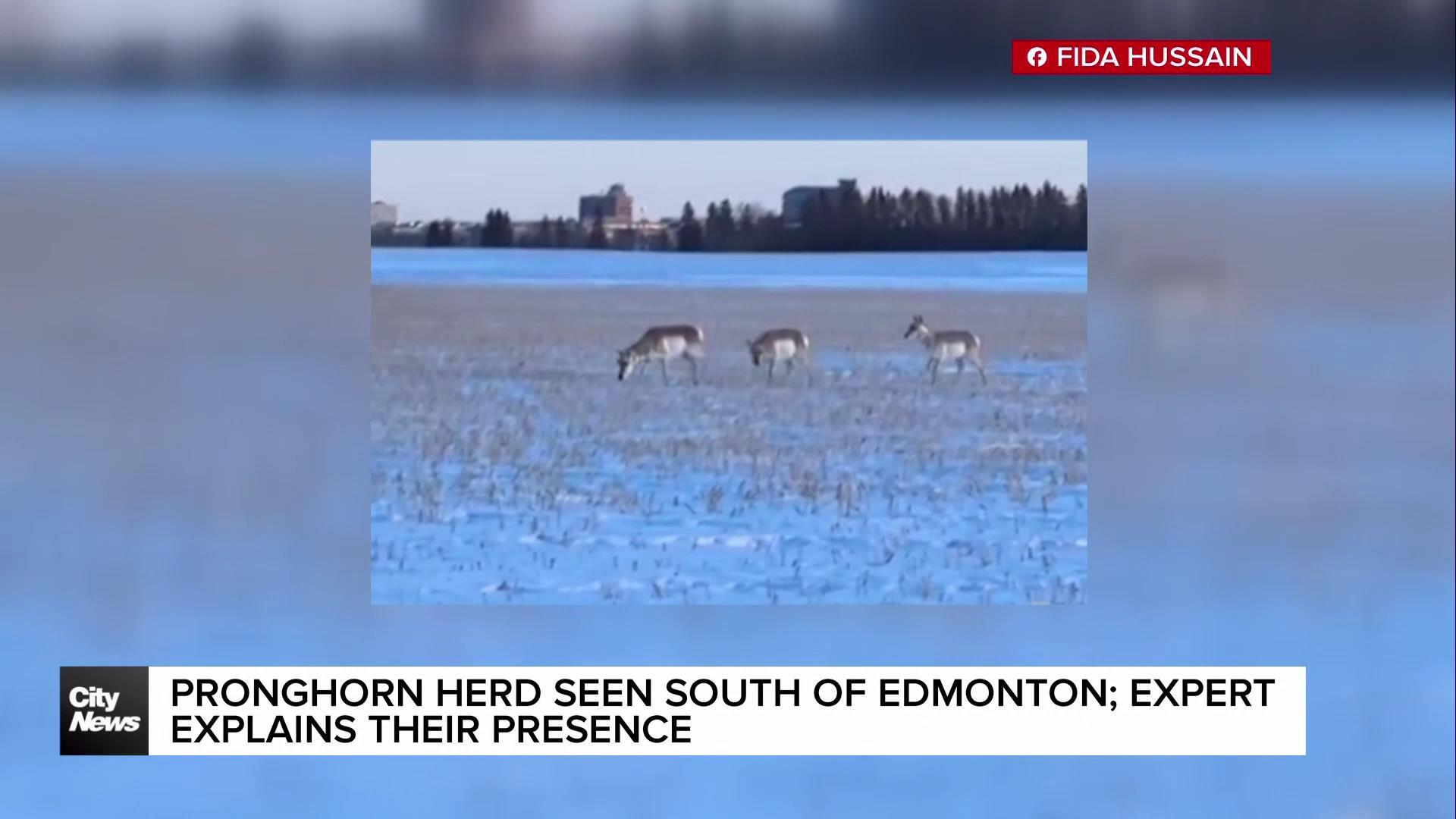 New mural in Edmonton celebrates Oilers’ playoff run