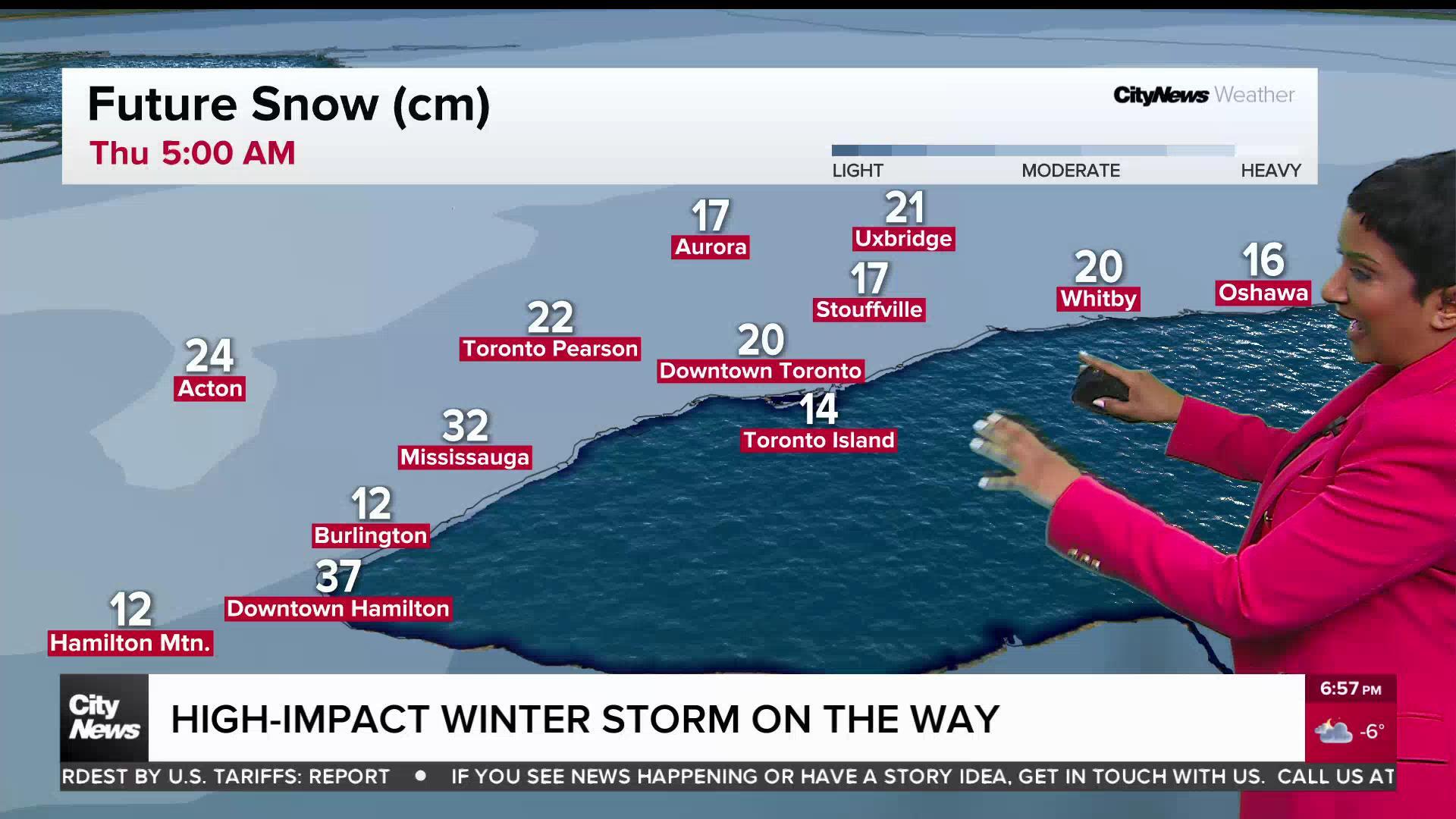 Danforth restaurant goes to the dogs with special K9 menu