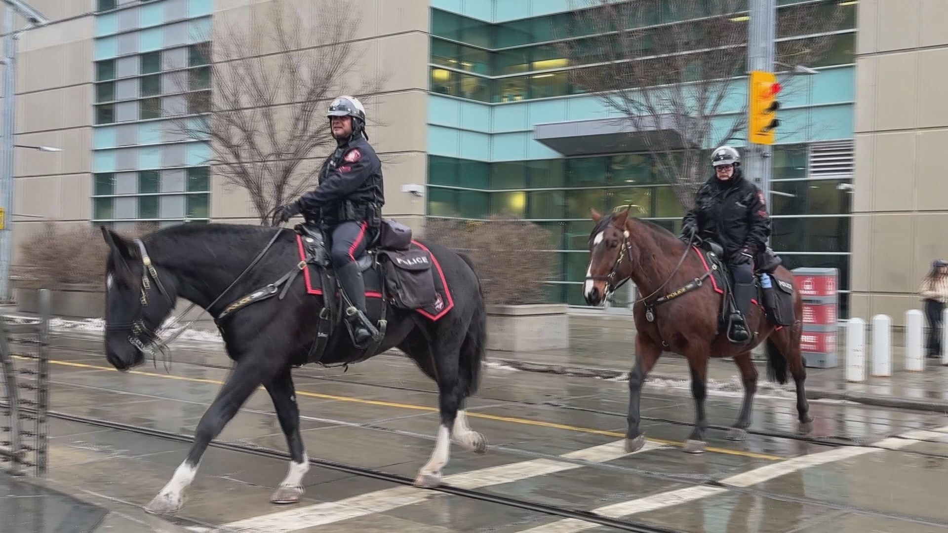 How to tick-proof your summer in Alberta
