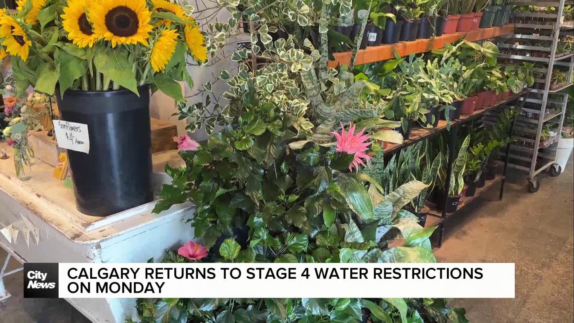 Calgary homicide victim not intended target: Police