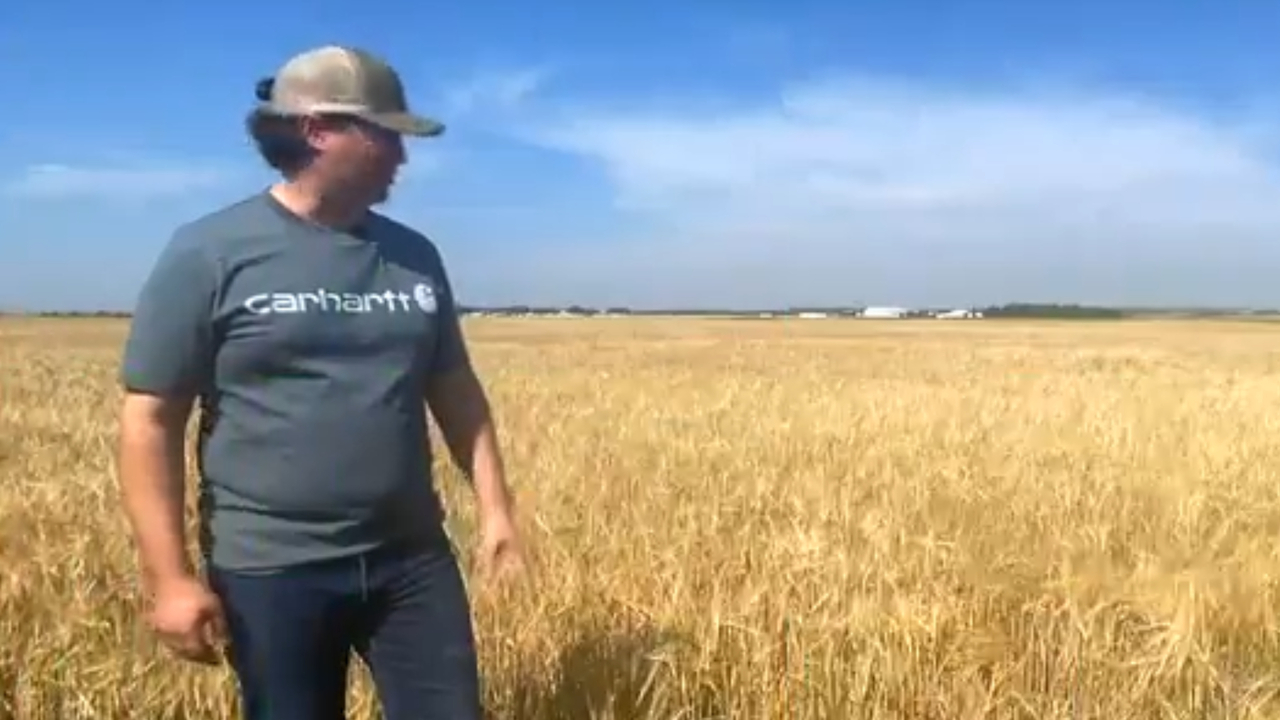 Drought conditions sweep the Prairies as farmers prepare for an early ...
