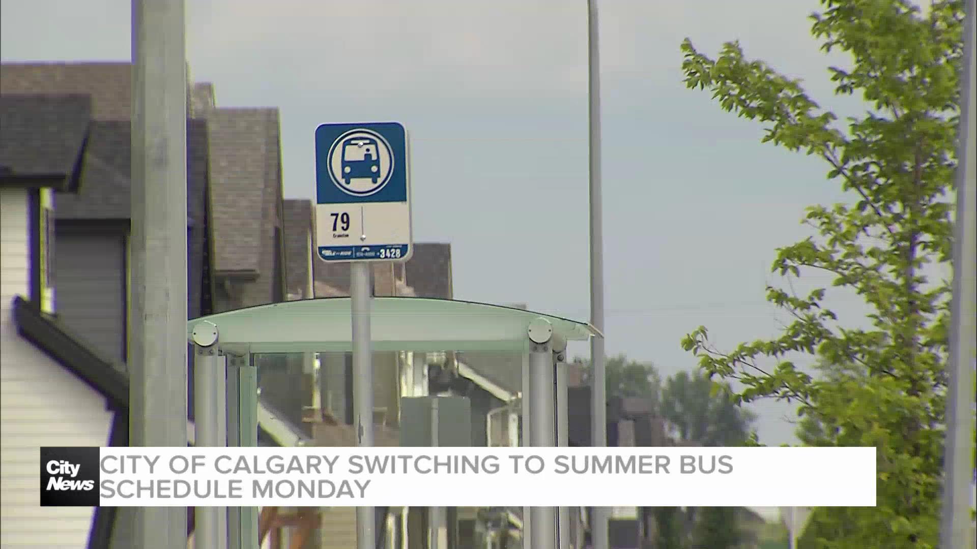 Breaking News | Top Local Stories | CityNews Calgary